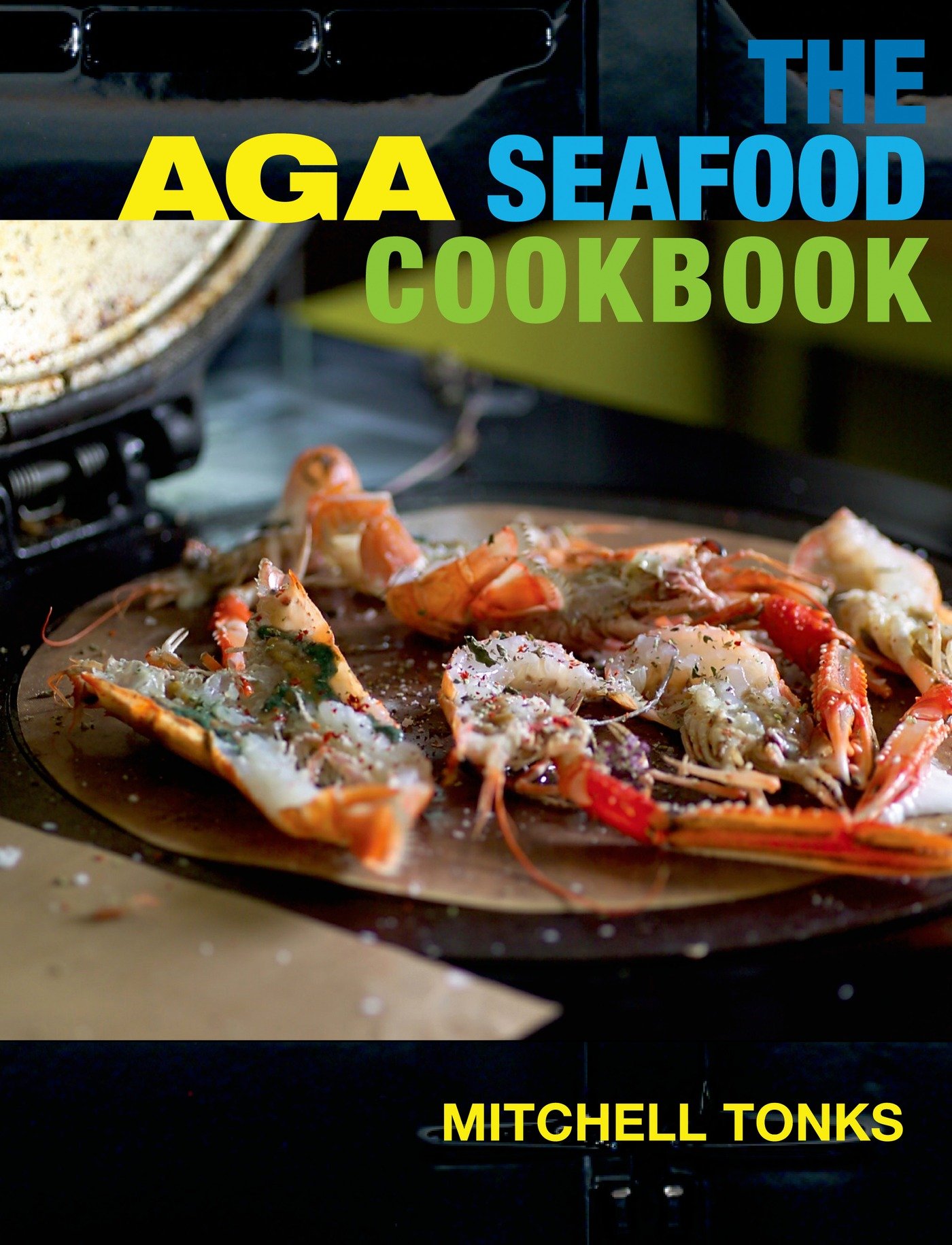 The Aga Seafood Cookbook (Aga and Range Cookbooks): Amazon.co.uk ...