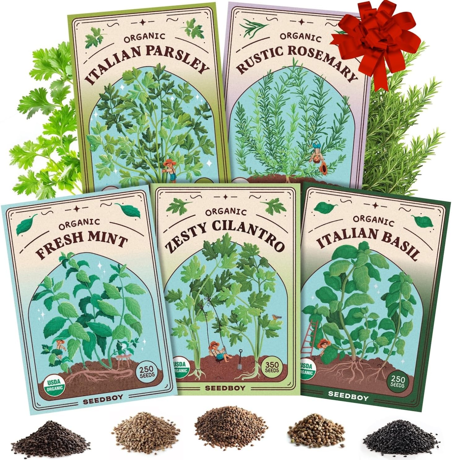 Amazon.com : Seedboy Organic 5 Herb Variety Pack: Basil, Mint, Rosemary ...