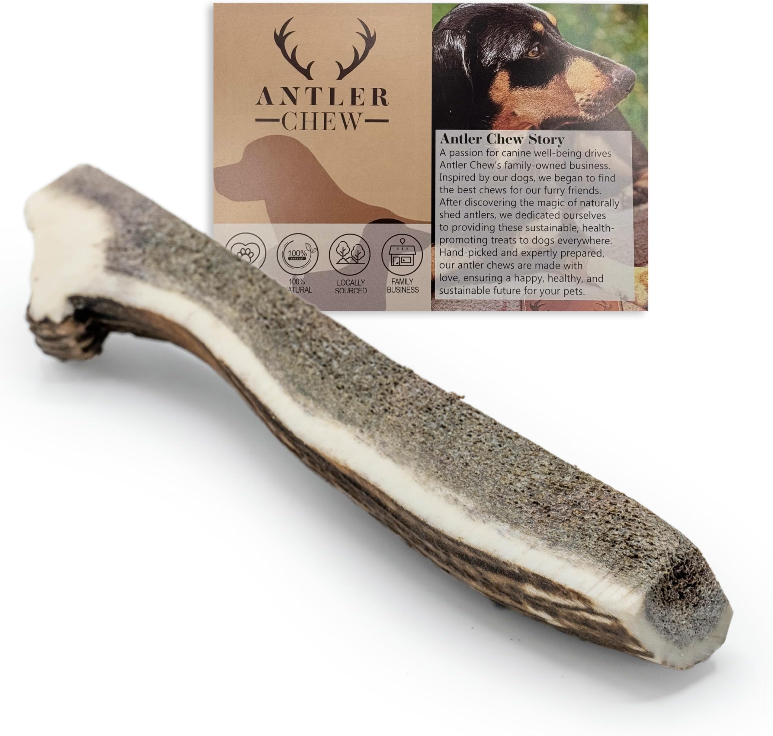 Ace Antlers Pack of 2 Large (101-150g) Split Deer Antlers for Dogs ...