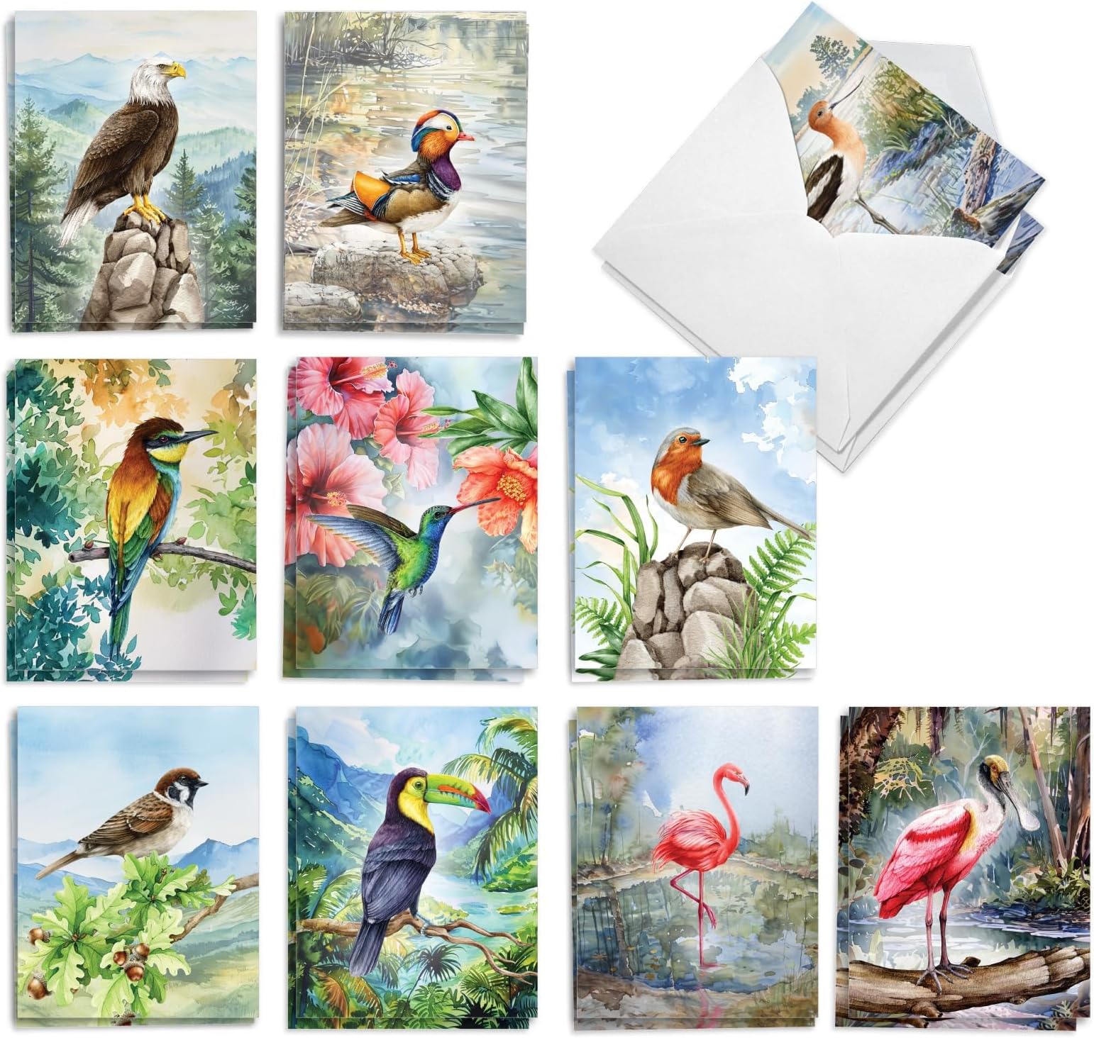 Amazon.com : Hallmark Bird Note Card Assortment (24 Blank Cards with ...
