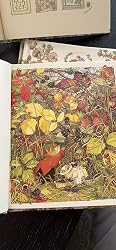 Amazon.com: Brambly Hedge Collection Jill Barklem 8 Books Set (Autumn ...