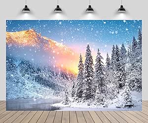 Amazon.com : CHNYWORK 12x10ft Winter Wonderland Backdrop Snowing Pine ...