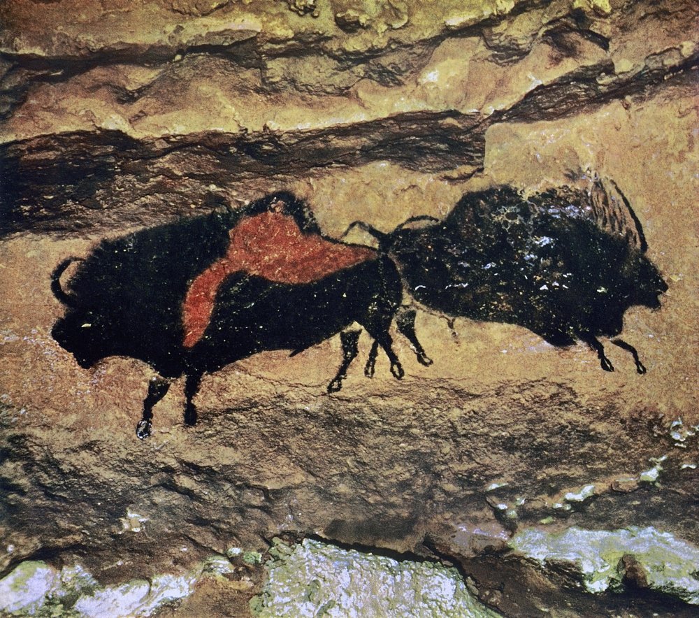 Cave Art Bison Nbison From The Nave At Lascaux Dordogne | Desertcart INDIA