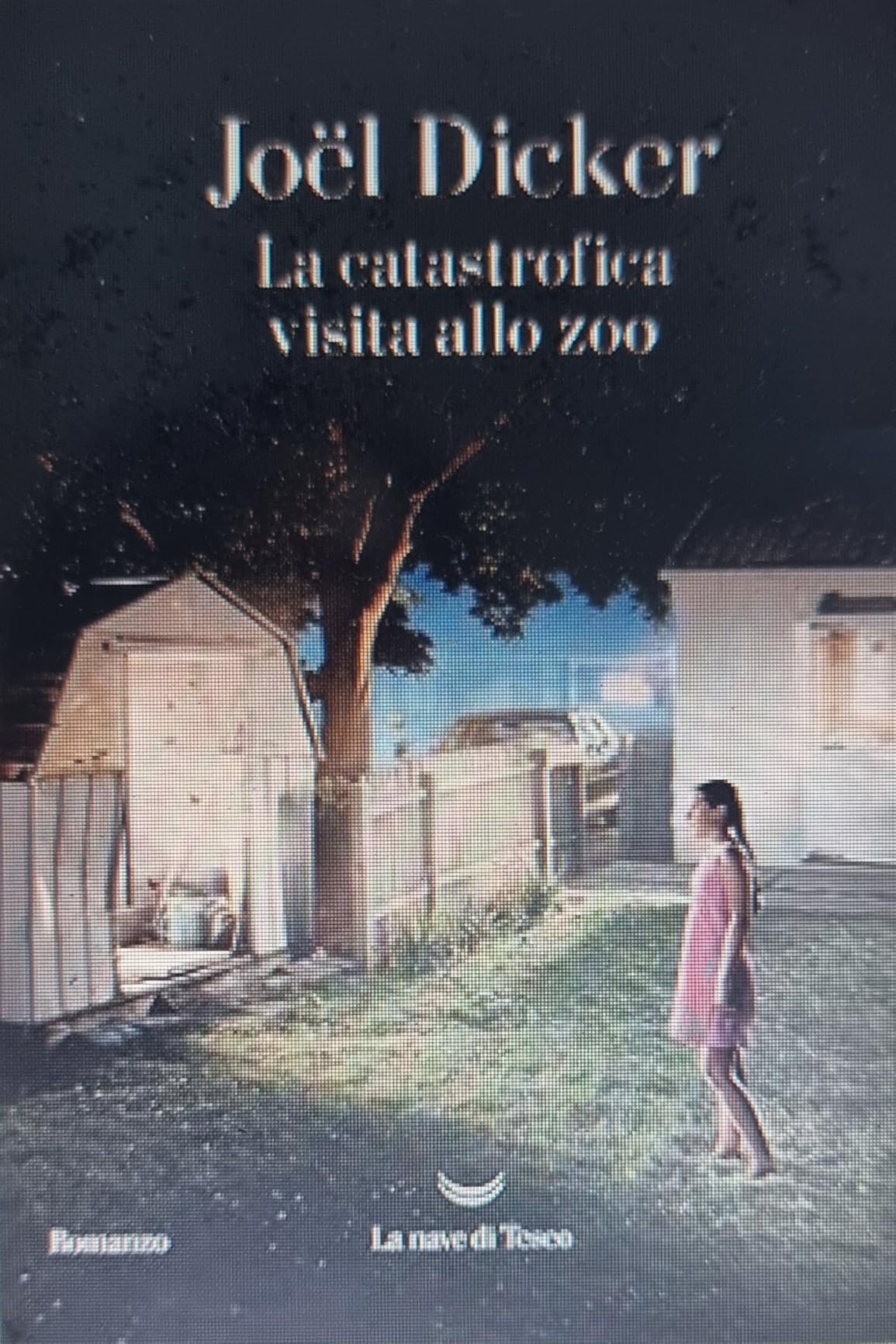 La catastrofica visita allo zoo : Dicker, Joël, Ciccimarra, Milena ...
