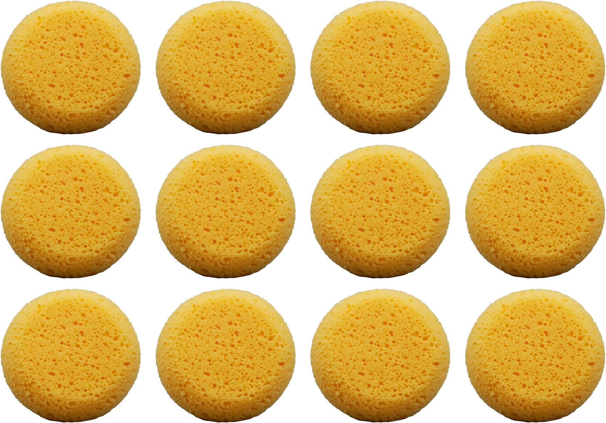 Amazon.com: Hapy Shop 24 Pack Round Painting Sponge Synthetic Artist ...