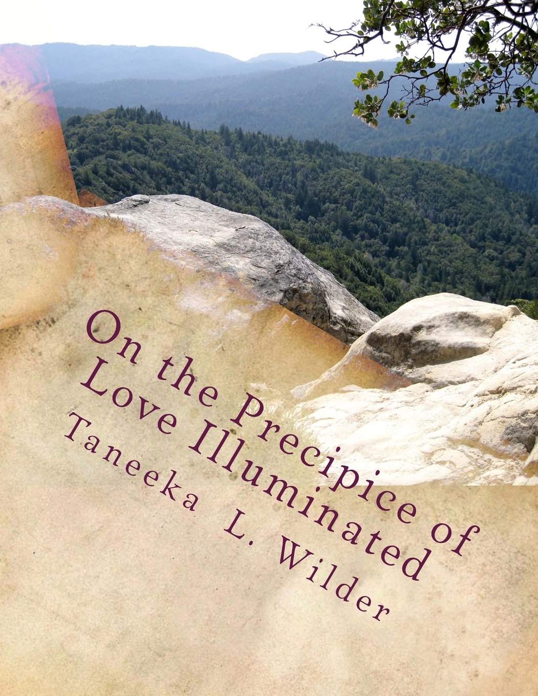 On the Precipice of Love Illuminated: Poems & Stories Sung From the ...