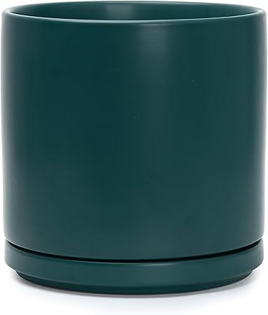 Amazon.com : D'vine Dev 10 Inch Ceramic Planter Pot with Drainage Hole ...