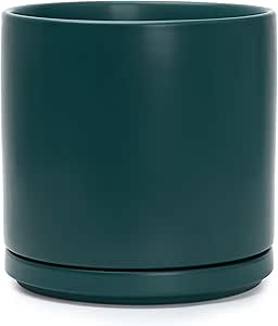 Amazon.com : D'vine Dev 10 Inch Ceramic Planter Pot with Drainage Hole ...