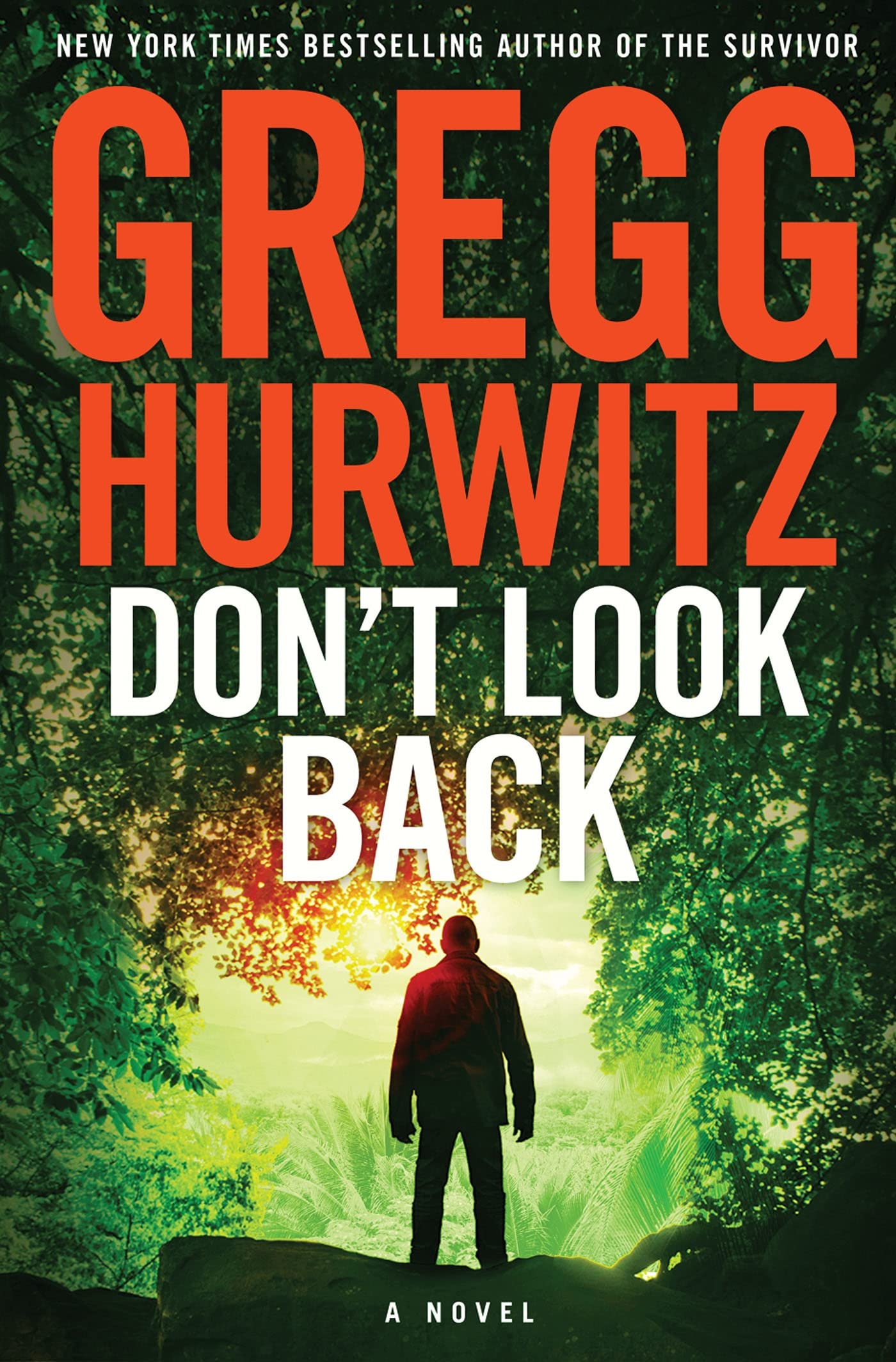Don't Look Back: A Novel: Hurwitz, Gregg: 9780312626839: Amazon.com: Books