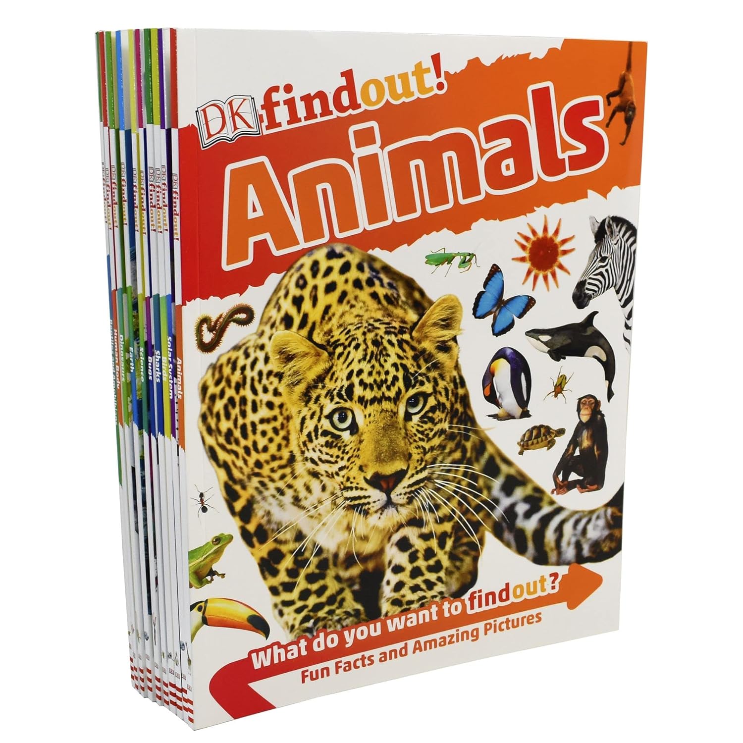 DK Findout! Series with Fun Facts and Amazing Pictures 10 Books ...