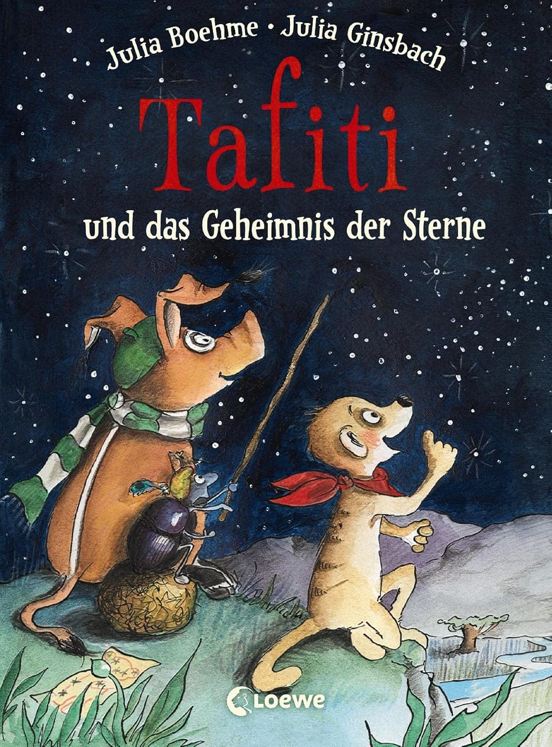 Tafiti und das Geheimnis der Sterne (Band 14): Komm mit nach Afrika und ...
