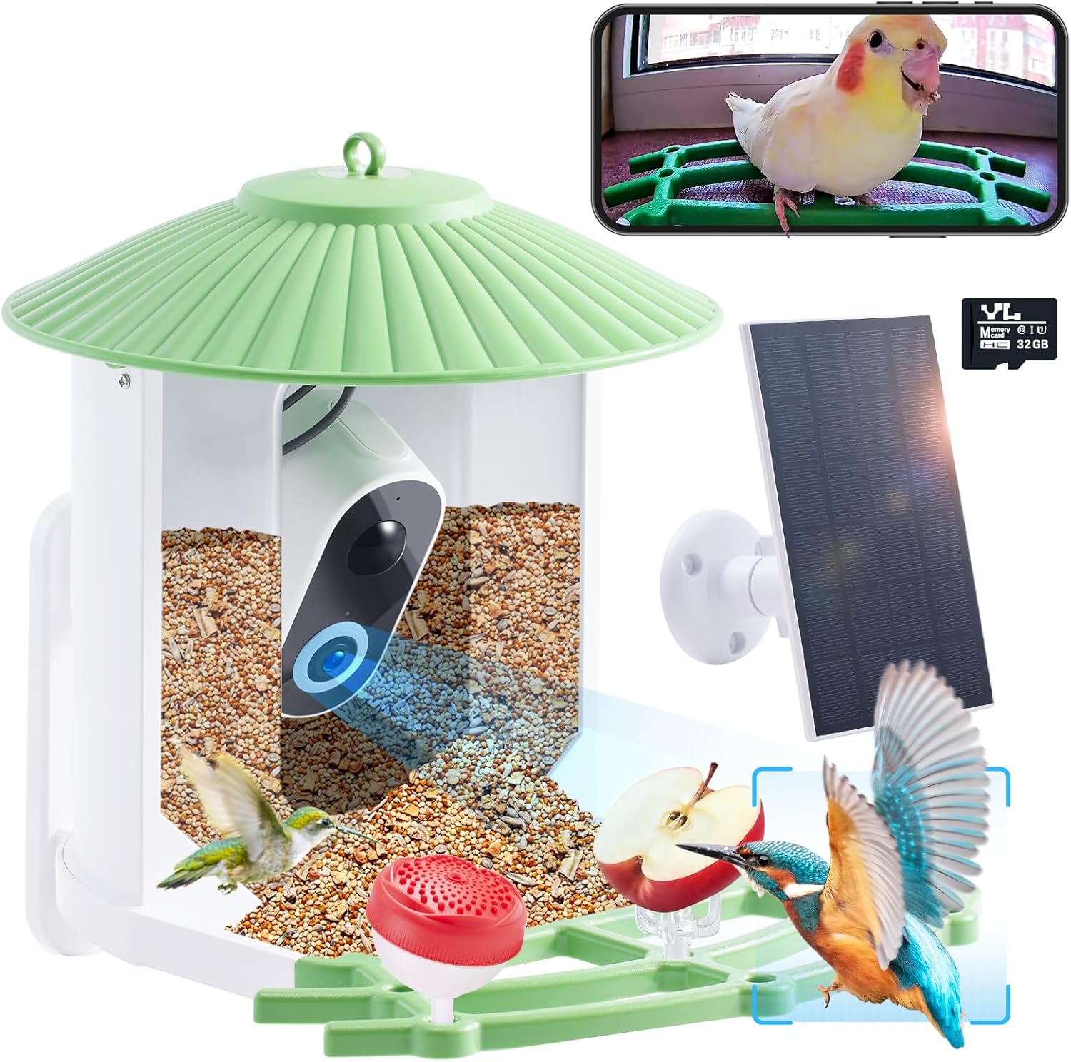 Amazon.com : Smart Bird Feeder with Camera, Wireless Outdoor Bird ...