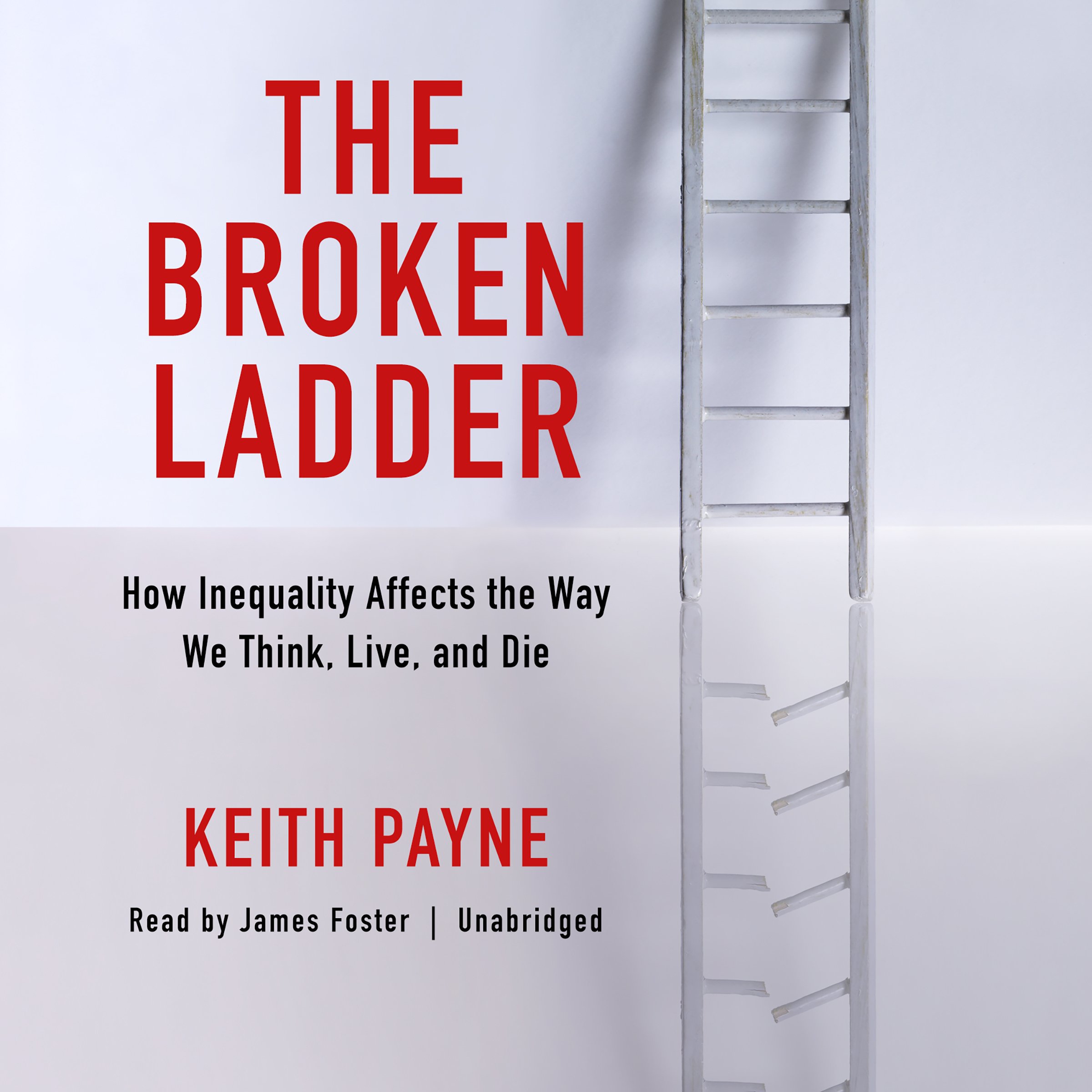 The Broken Ladder: How Inequality Affects the Way We Think, Live, and ...
