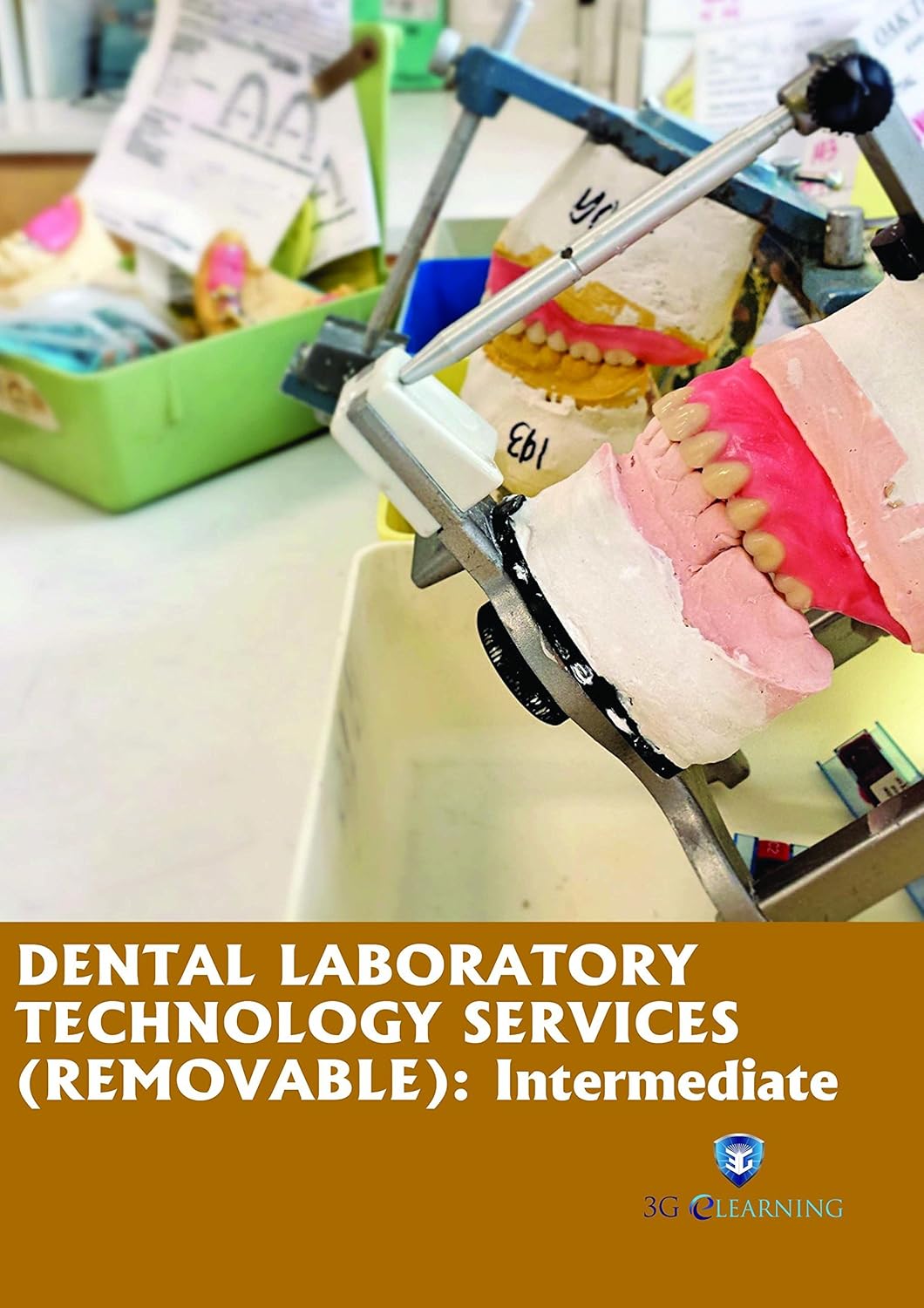 DENTAL LABORATORY TECHNOLOGY SERVICES (REMOVABLE) : Intermediate: 3G E ...