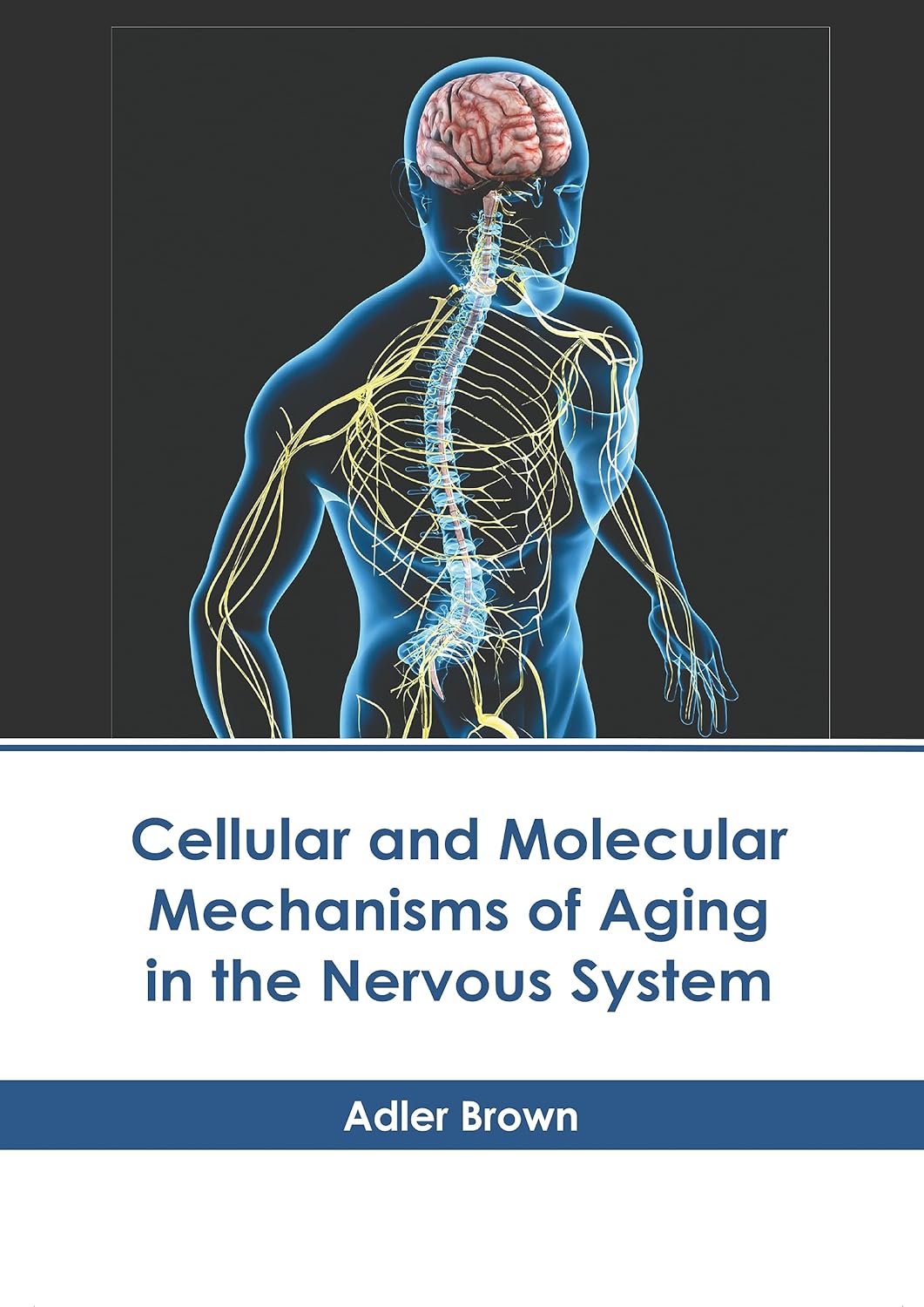 Cellular and Molecular Mechanisms of Aging in the Nervous System ...