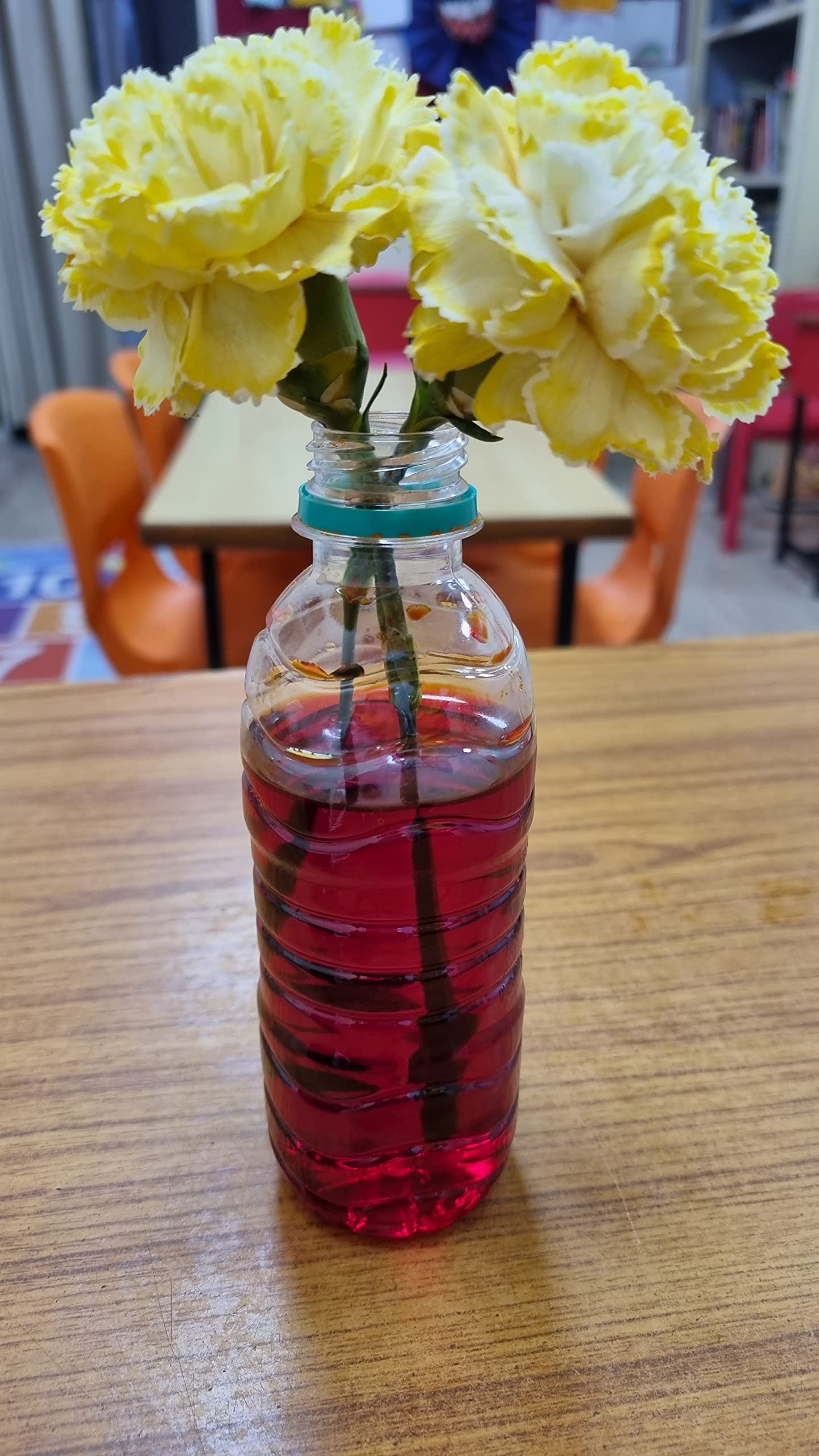 Capillary Action In Flowers Fun Science & Arts Activity About Flowers,