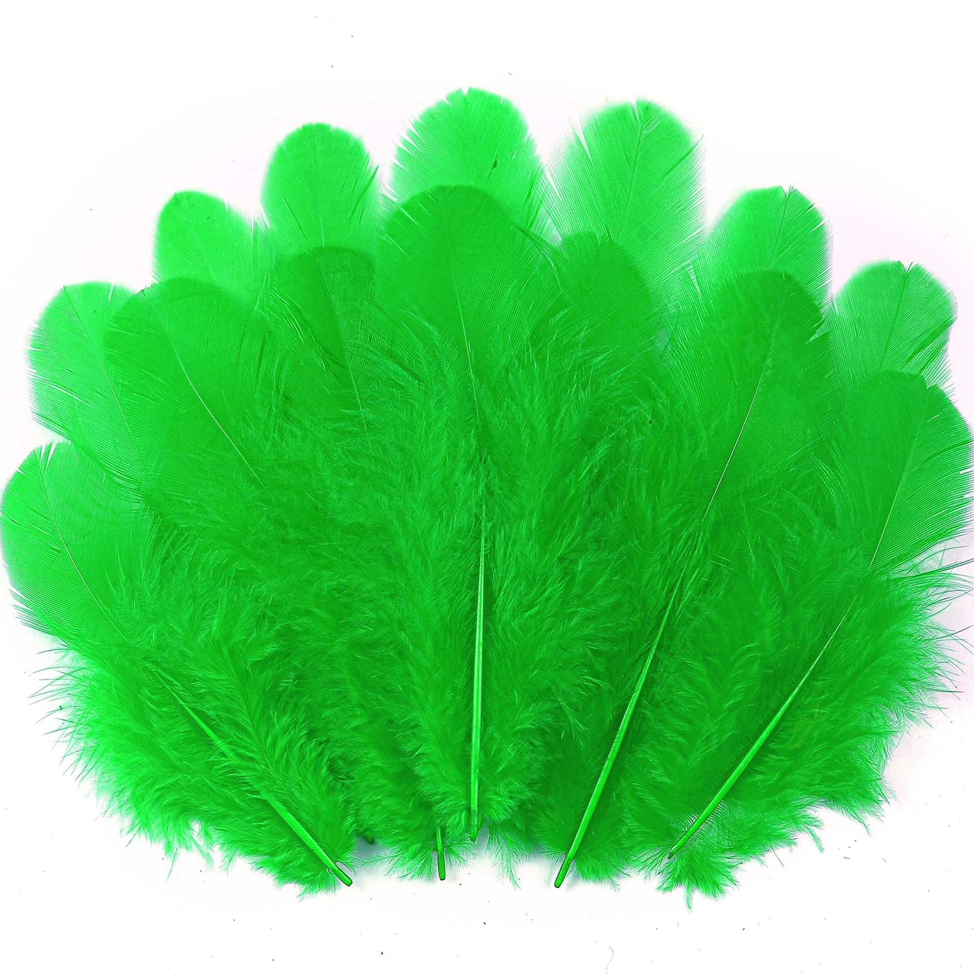 Amazon.com: Soarer Grass Green Craft Feathers Bulk - 300pcs 3-5inch Natural Feathers for Wedding ...