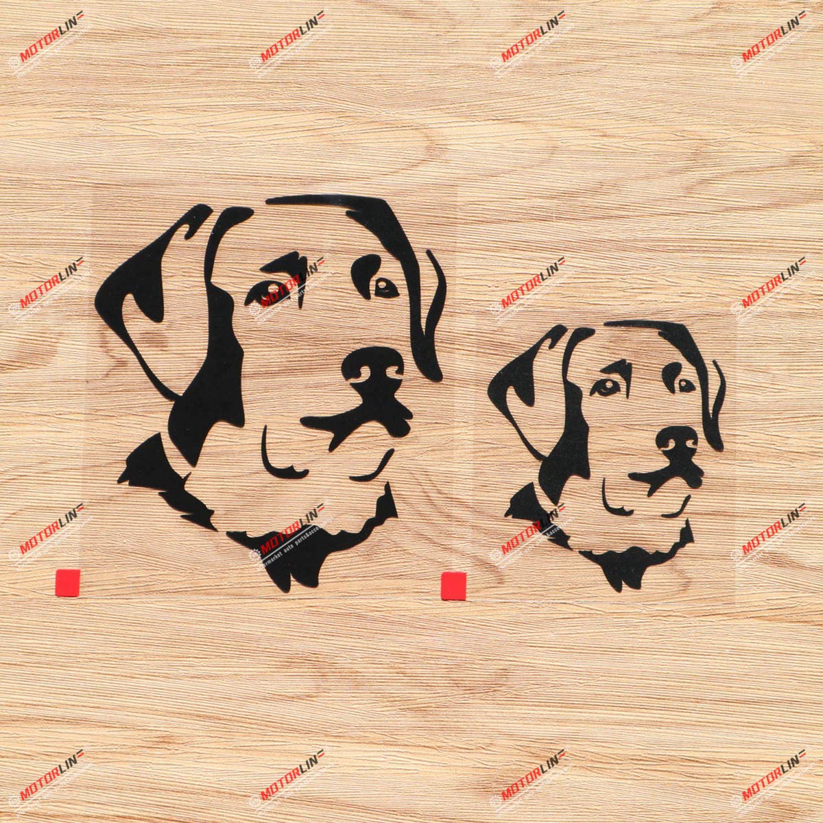 Lab Head Decal