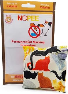 Understanding Cat Territory Marking: What It Means And Why They Do It ...