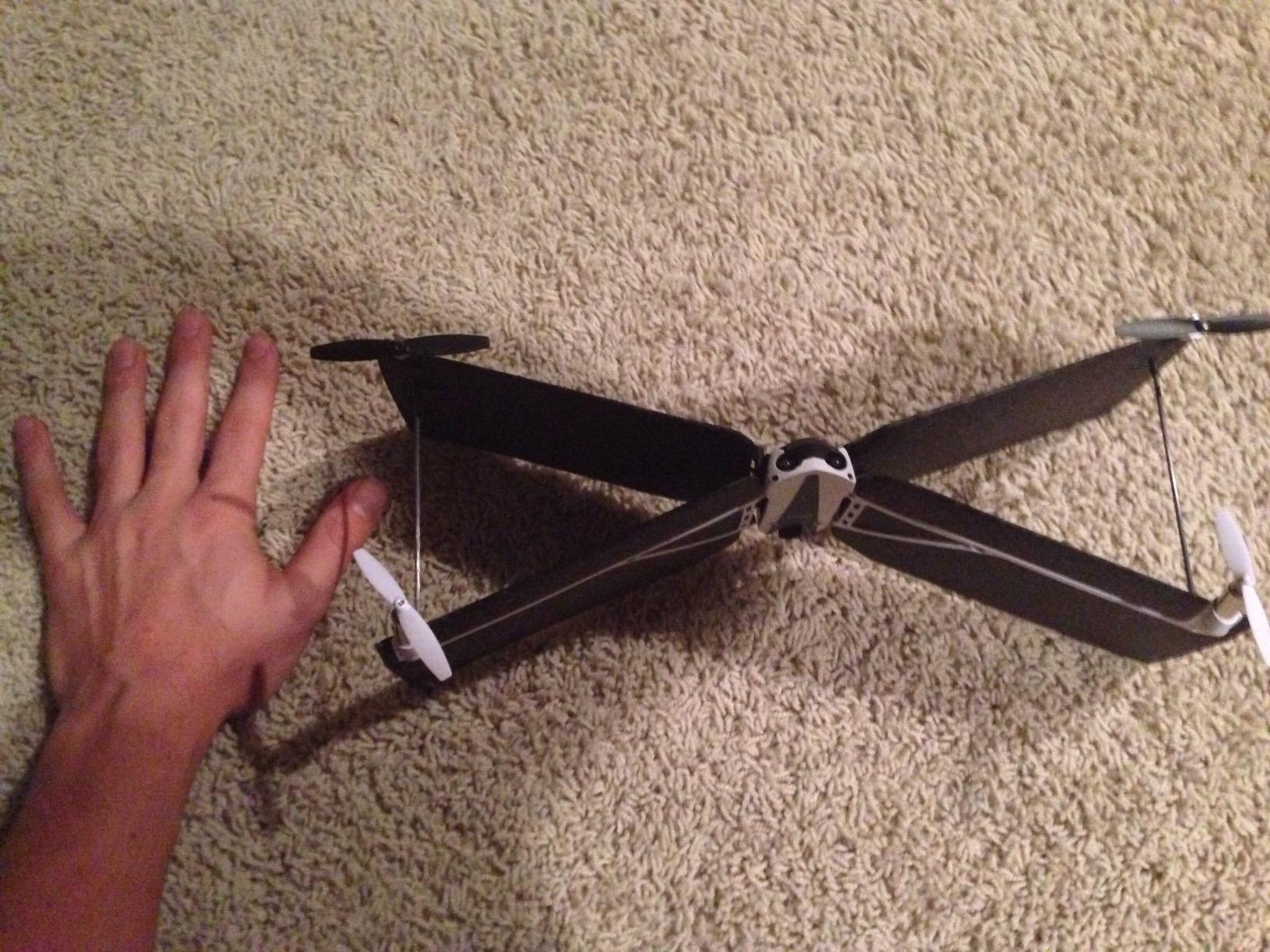 Amazon.com: Parrot Swing + Flypad : Toys & Games