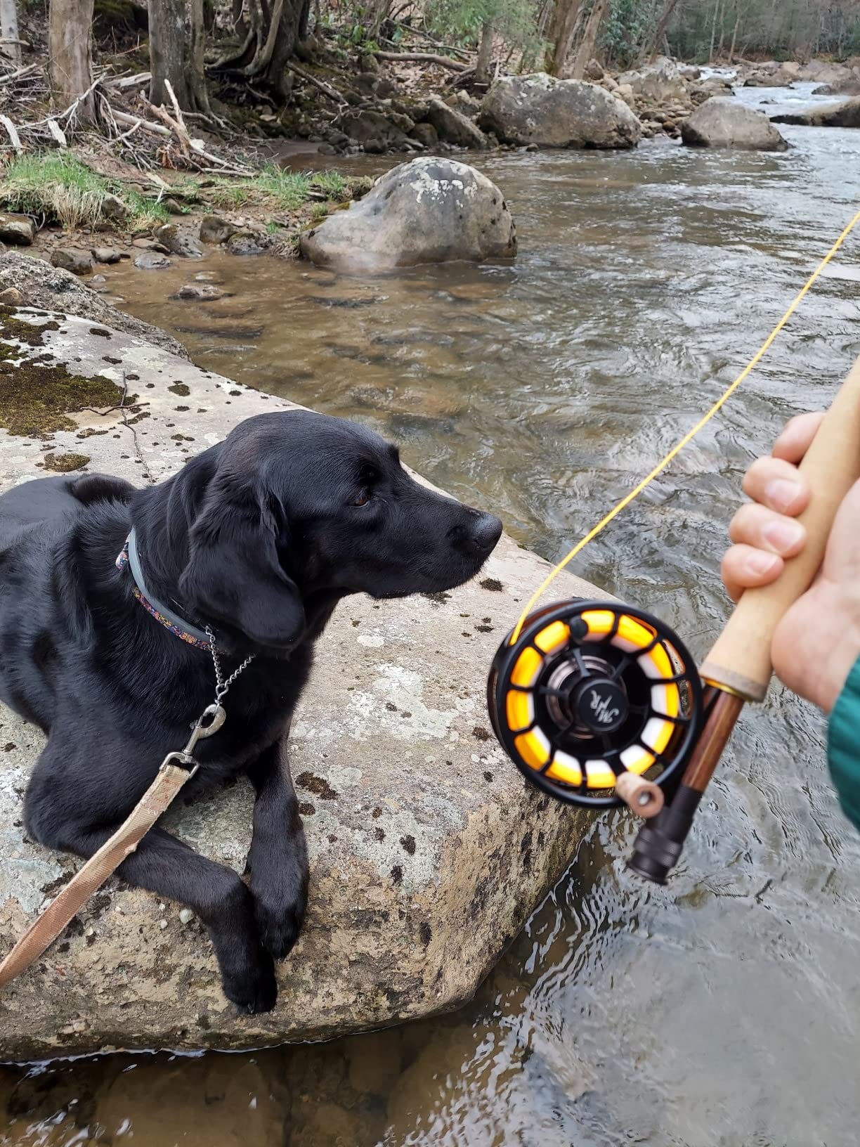 $50/mo - Finance Moonshine Rod Co. The Creede Fly Fishing Reel, Large ...