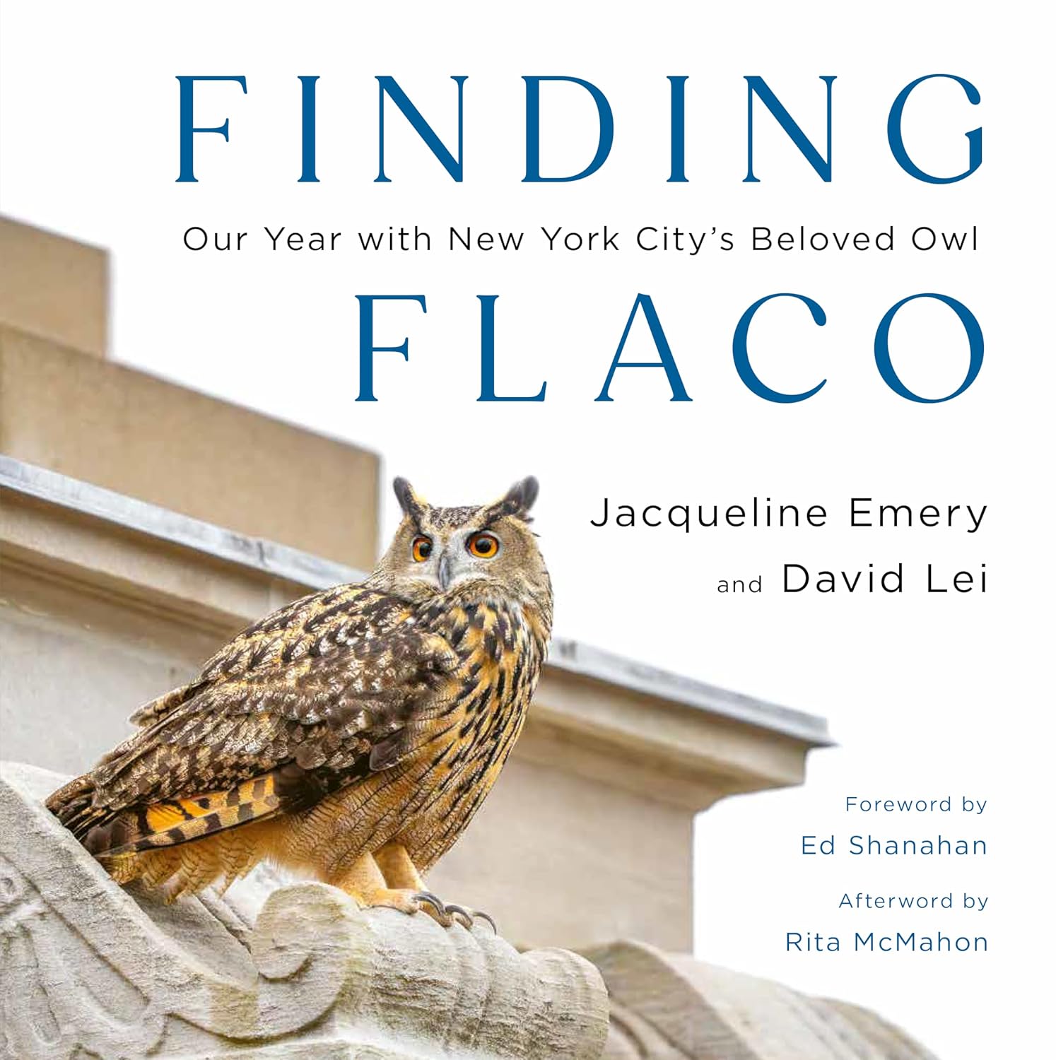 Finding Flaco: Our Year with New York City's Beloved Owl: Jacqueline ...