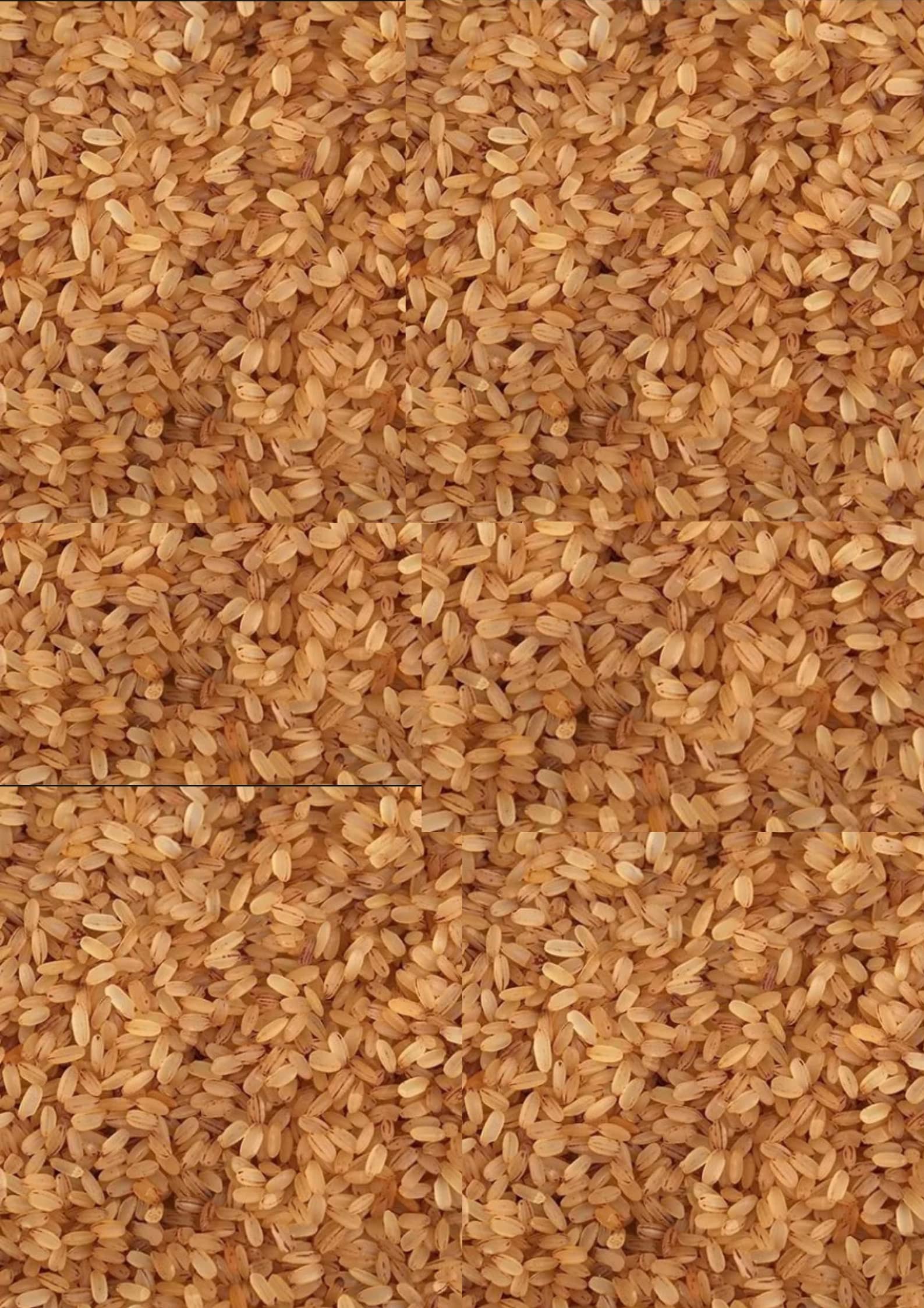 Dreams Kerala Matta Rice/Palakkadan Matta Rice 1 KG : Amazon.in ...