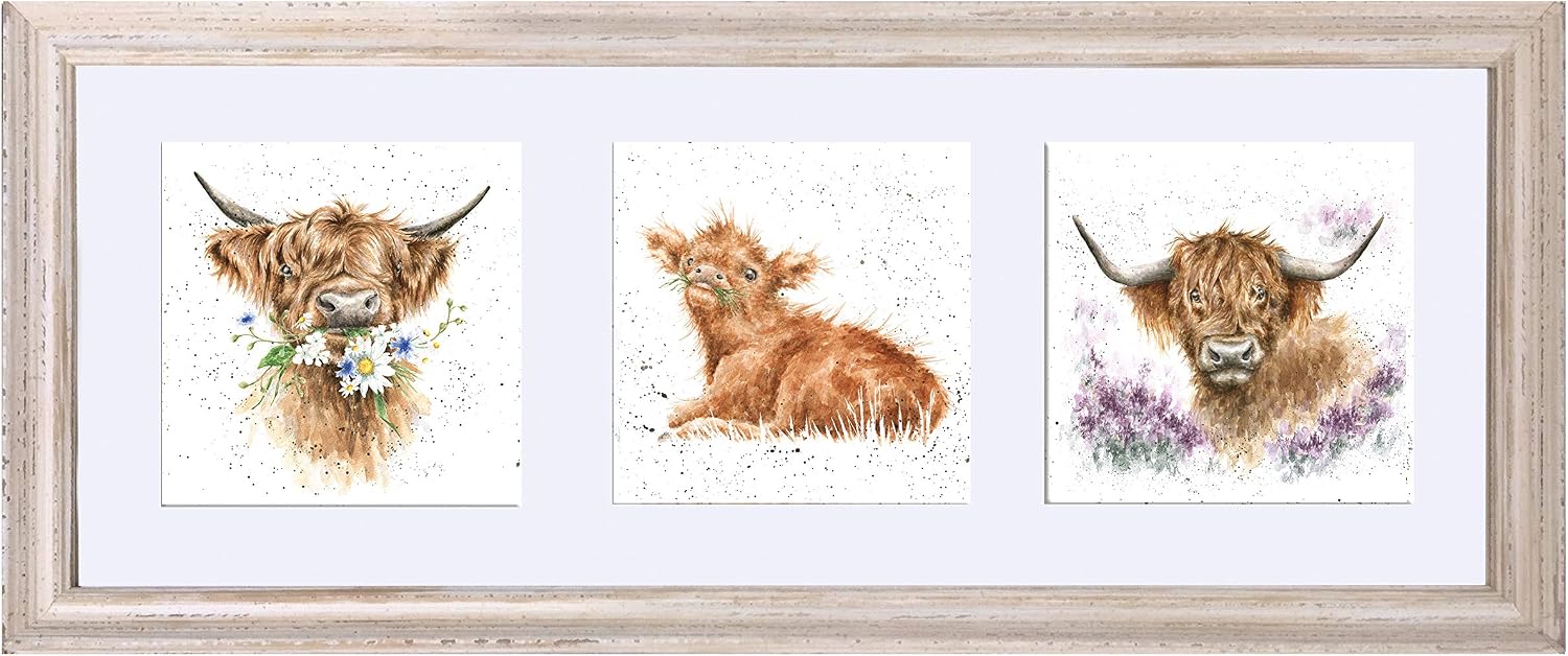 Wrendale Designs - 'A Trio Of Highland Cows' - White Frame : Amazon.co ...