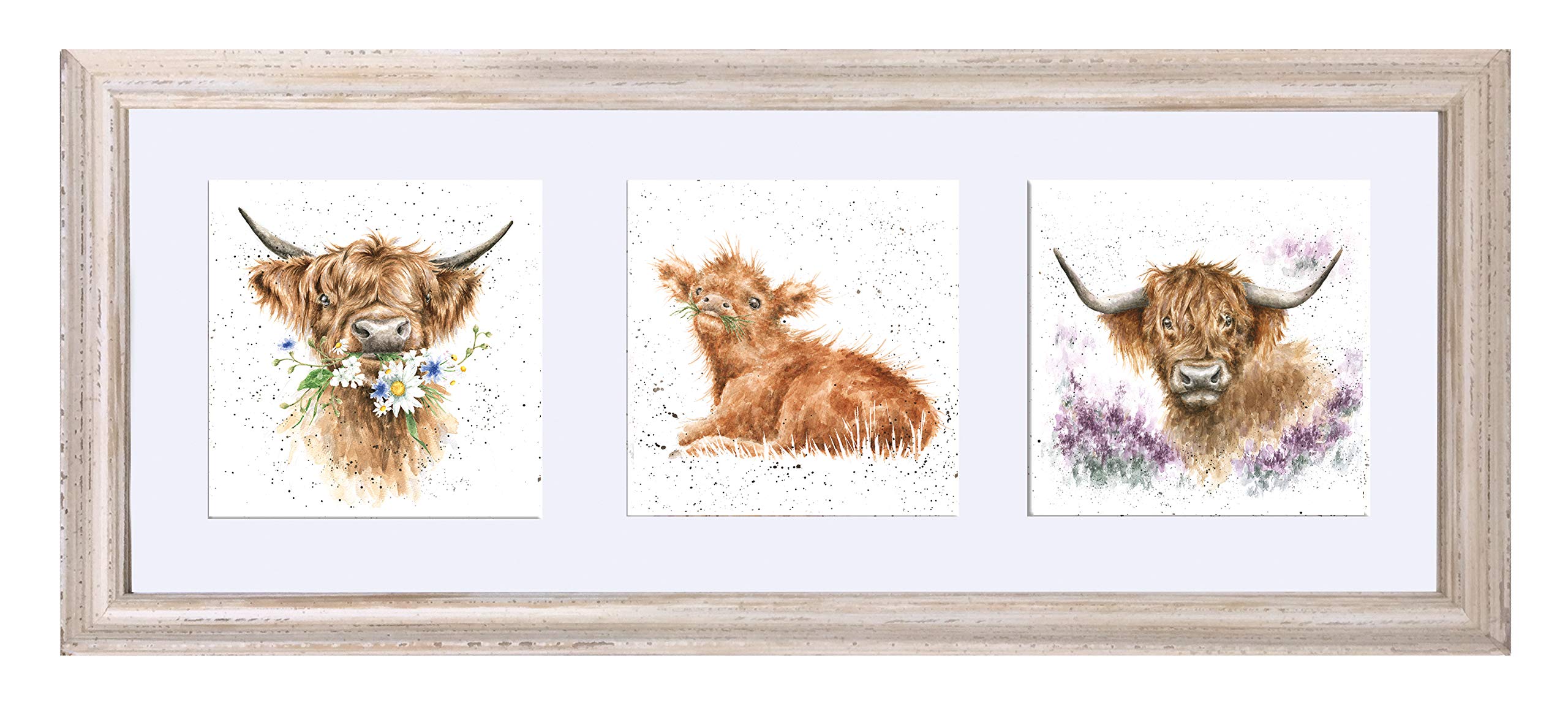 Wrendale Designs - 'A Trio Of Highland Cows' - White Frame : Amazon.co ...