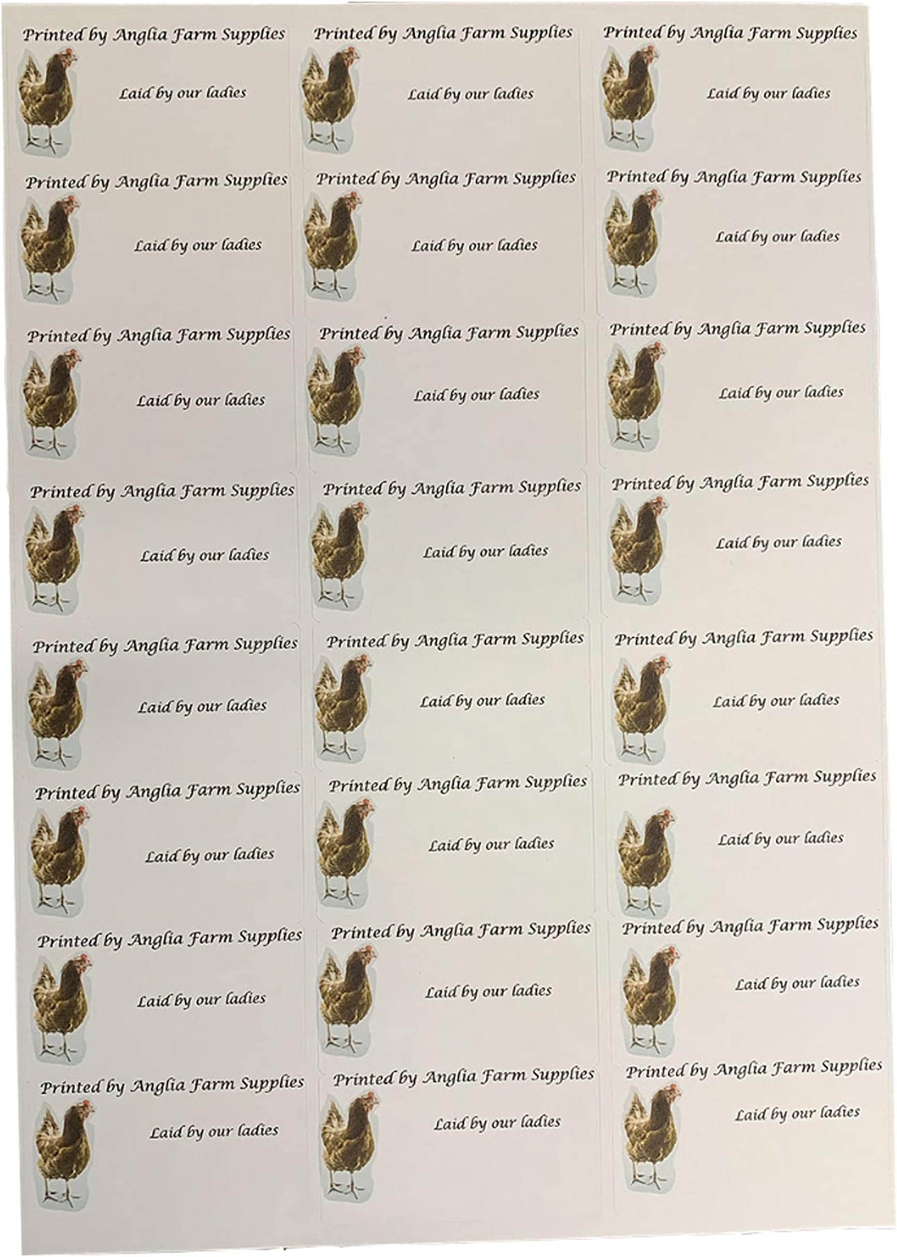 34 Fresh Eggs Box Stickers Labels Please Return Egg Box : Amazon.co.uk ...