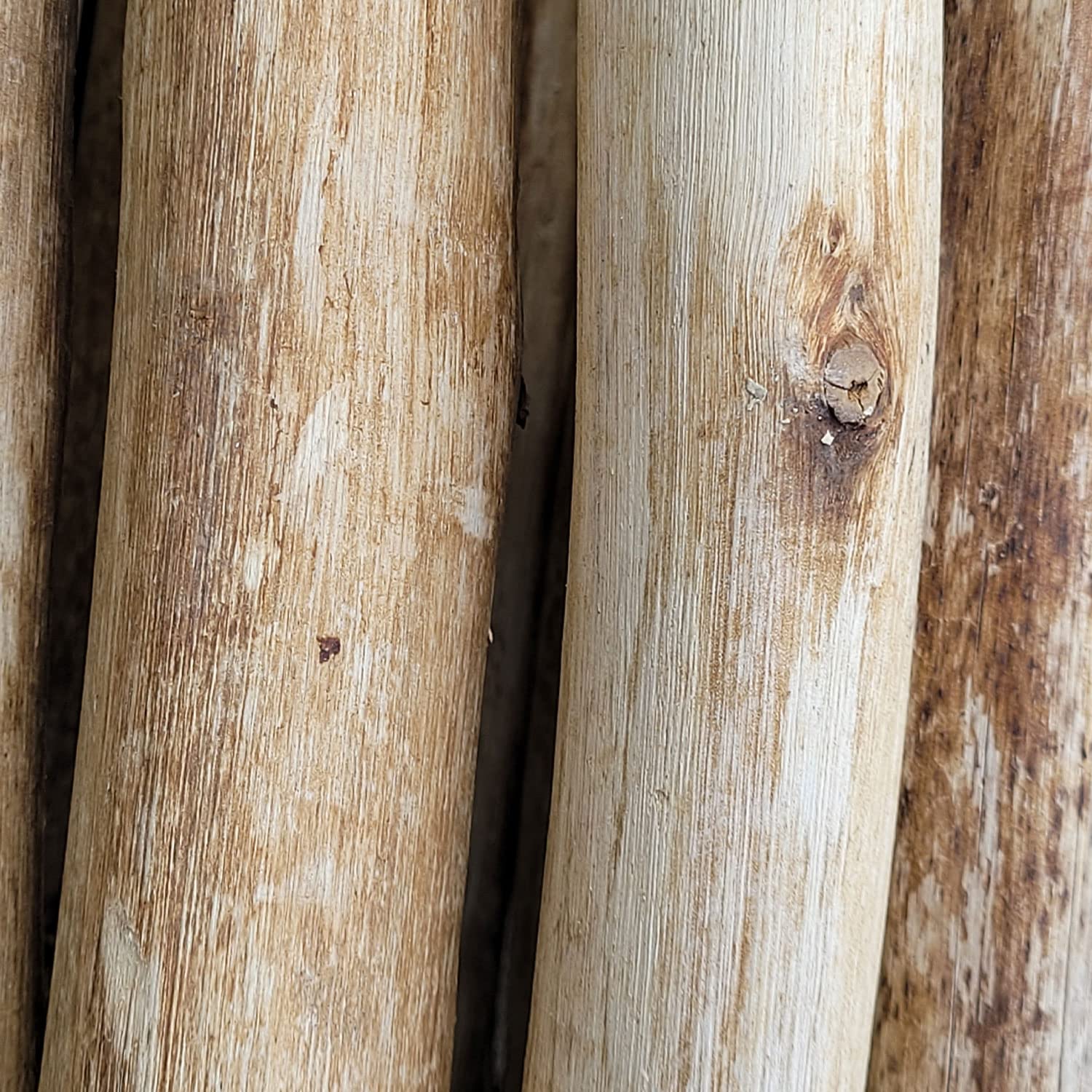 Buy FOREVER BAMBOO Natural Eucalyptus Wood Solid Log for Landscaping ...