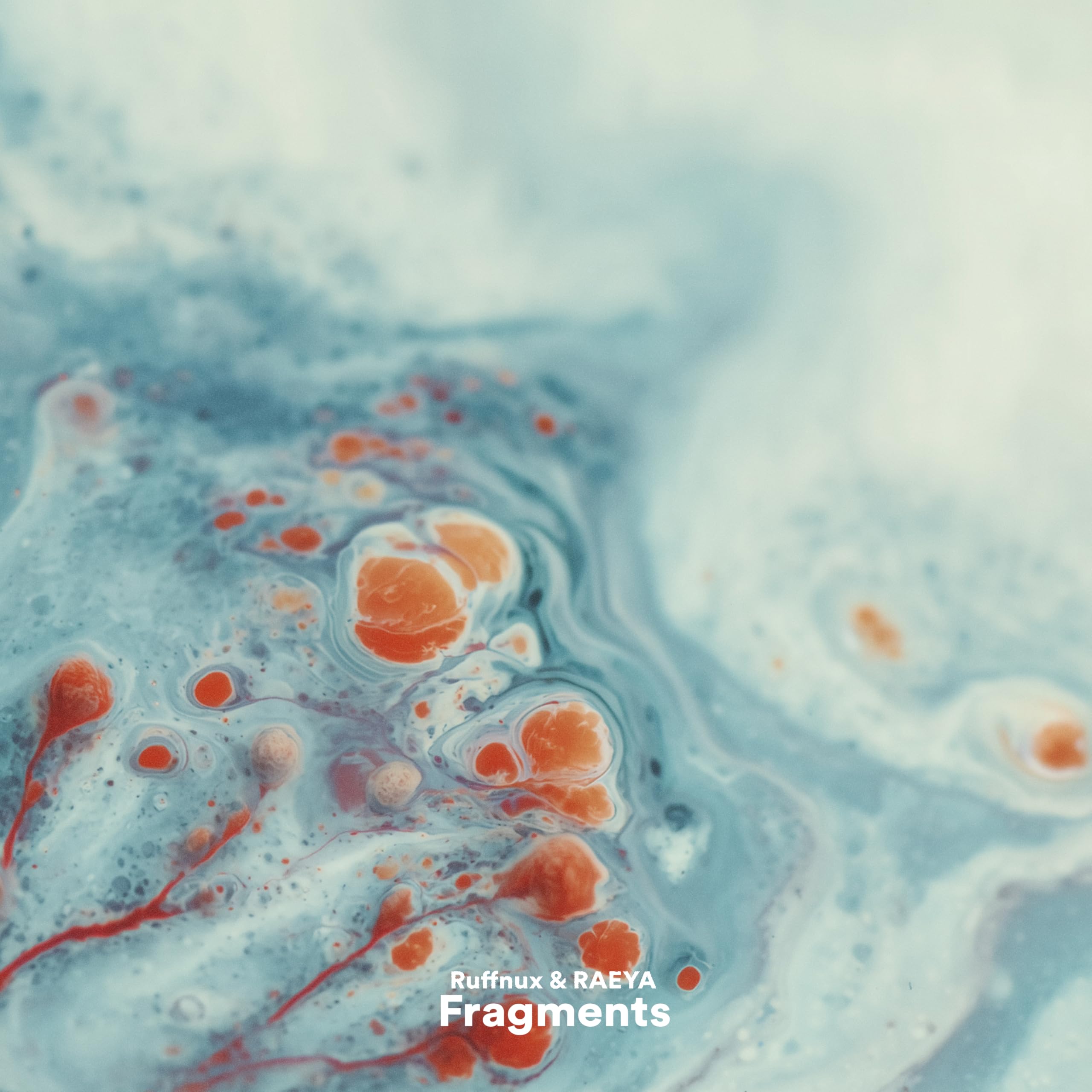 Rise (Jerome's Discotheque Mix) (Year in Review 2025) (Mixed) song by ...