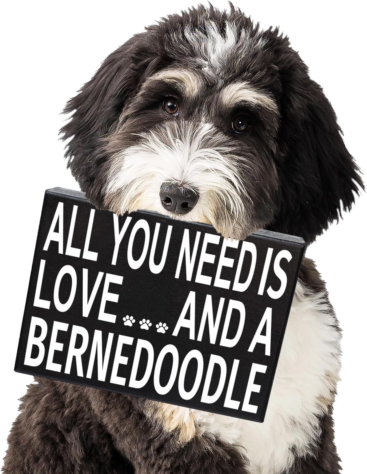 Amazon.com: JennyGems Bernedoodle Gifts, All You Need Is Love and a ...