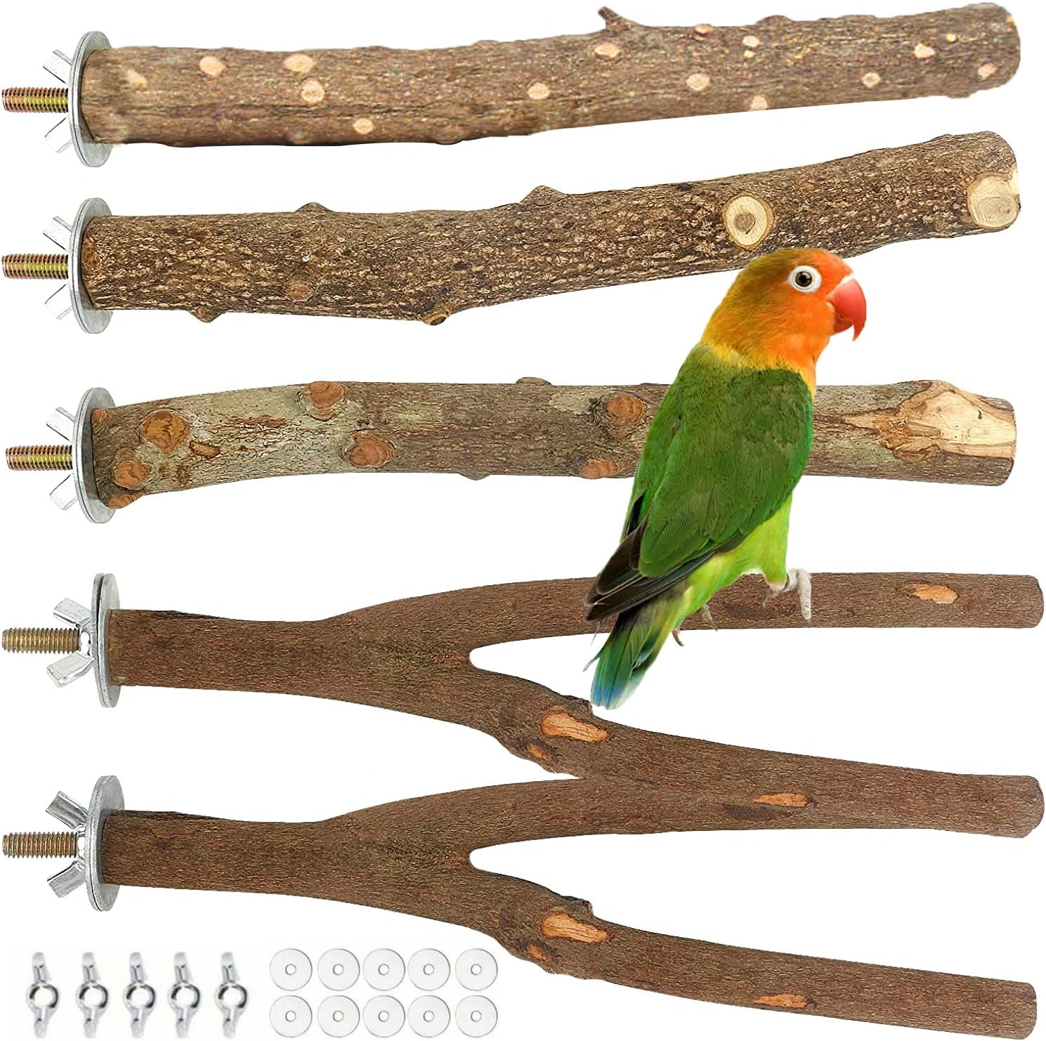 PAMELARG 5 Percas para Pájaros,Perchas para Pájaros,Percha para Loros de Loros,Cockatiel Bird ...