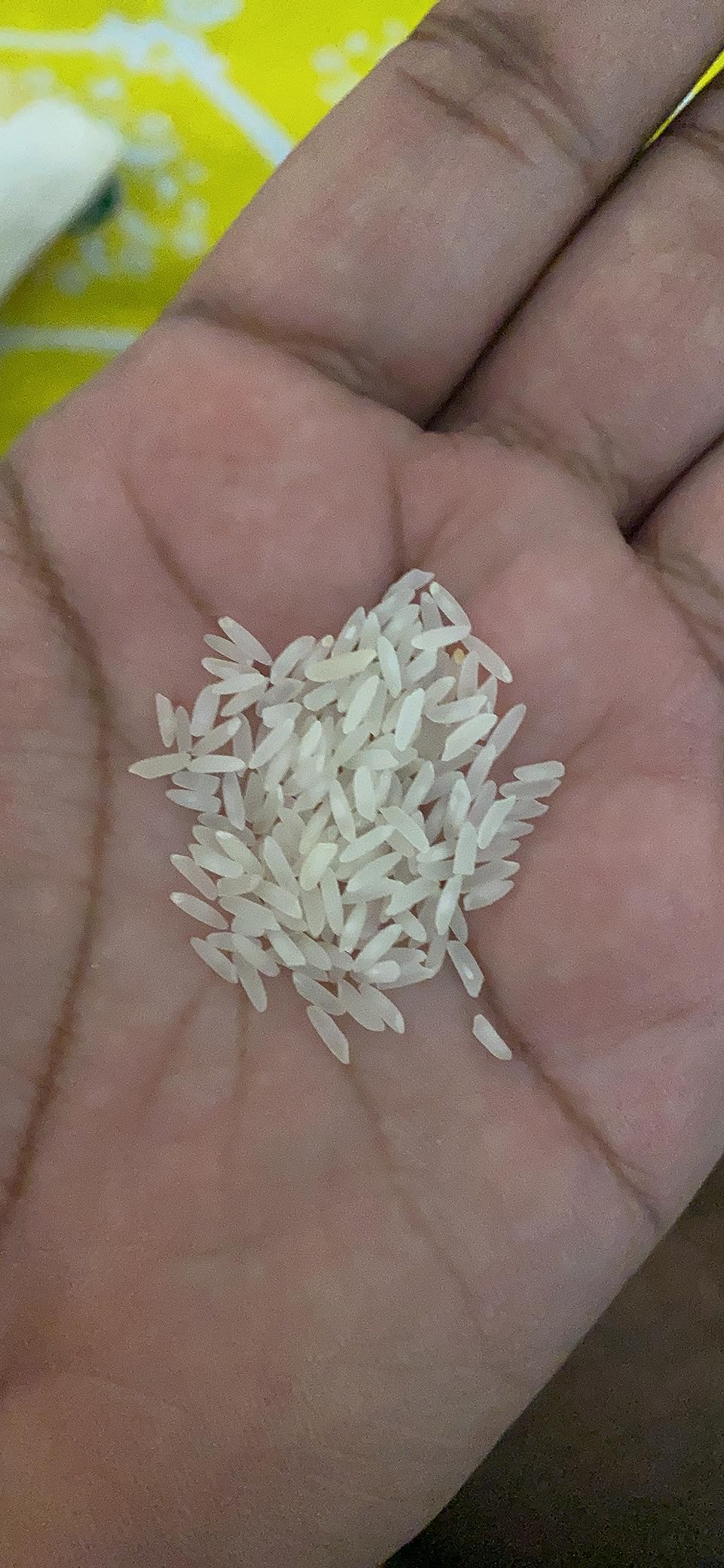 Daawat Kolam Rice, 10 Kg : Amazon.in: Books