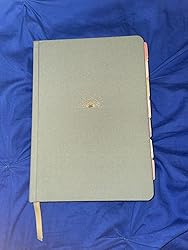 NLT DaySpring Hope & Encouragement Bible (Hardcover Deluxe, Seafoam ...