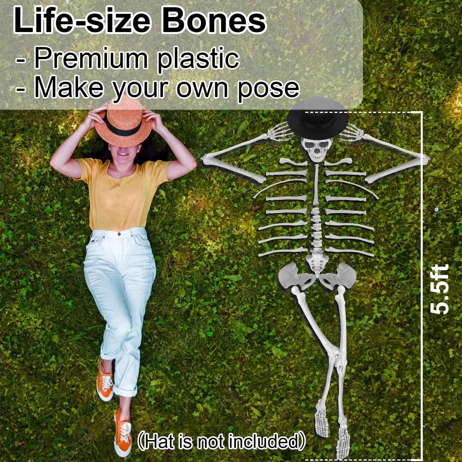 Snapklik.com : 35 Pieces Skeleton Bones For Halloween Decoration ...