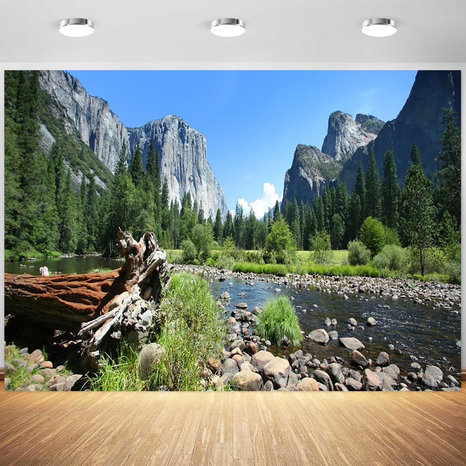 Amazon.com : 7x5ft Mountain Backdrop Mountains Lake Forest Landscape ...