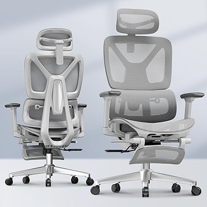 Amazon.com: FLEXISPOT ErgoX Premium Ergonomic Office Chair with ...