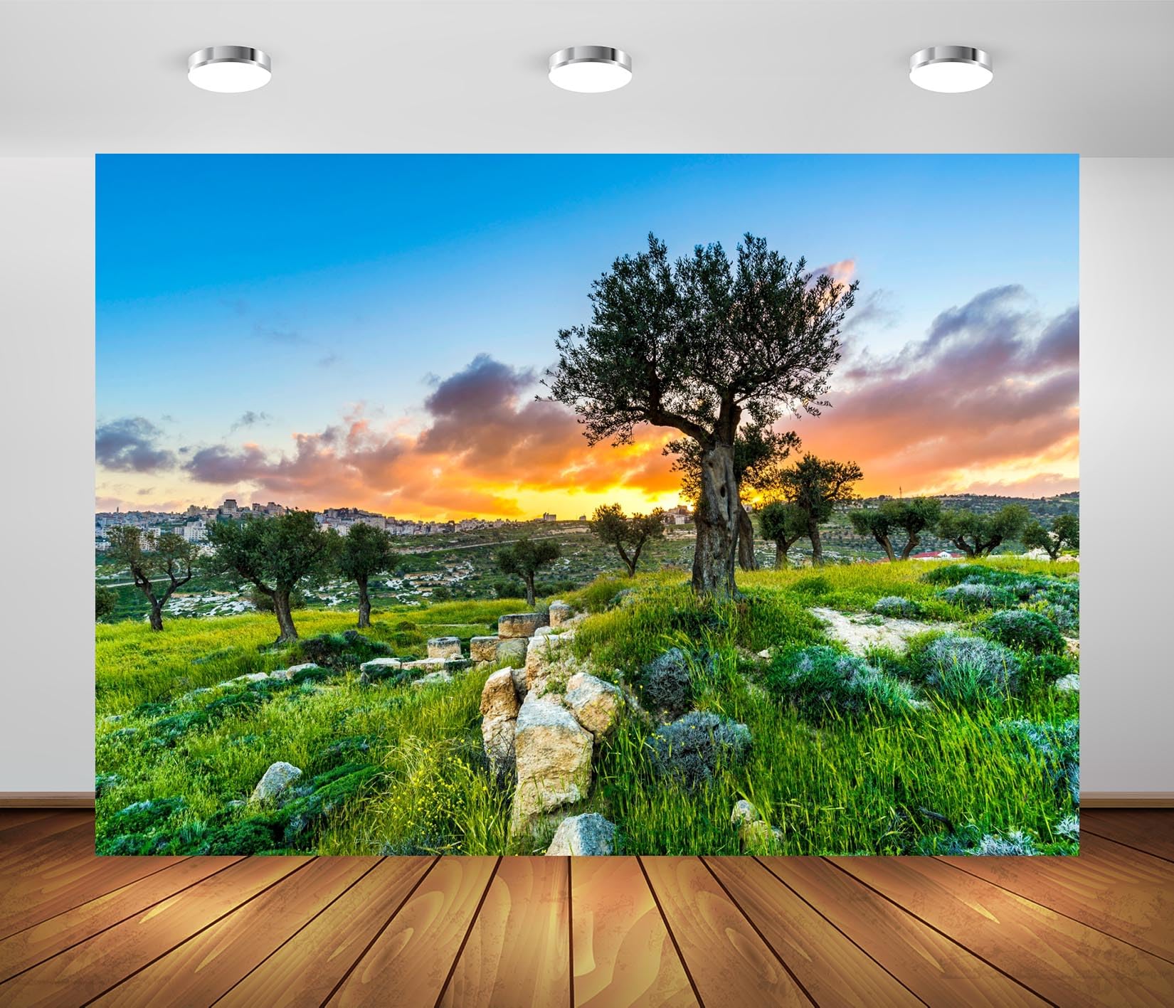 Amazon.com : BELECO 7x5ft Fabric Sunset View of Bethlehem Backdrop ...