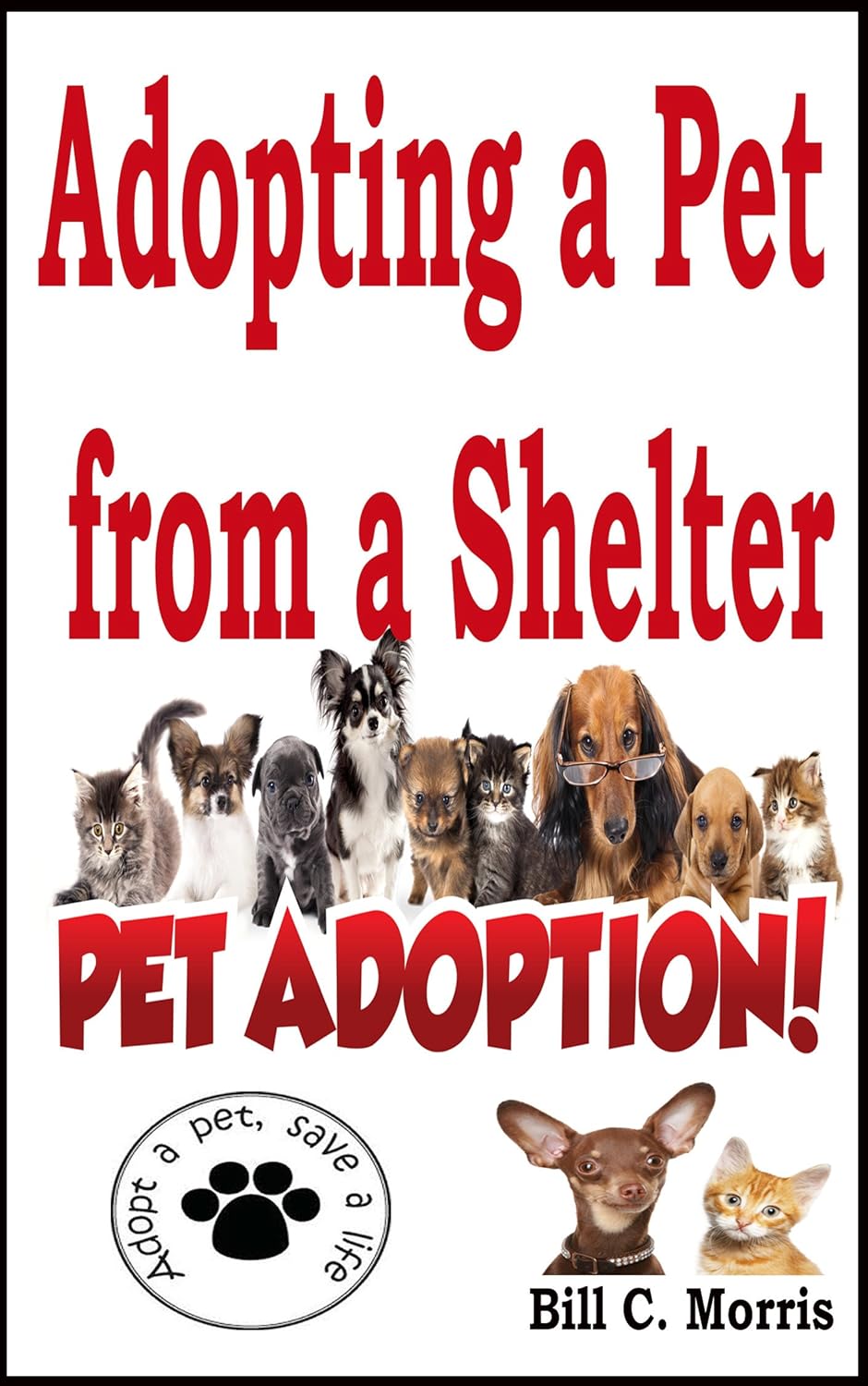 Adopting a Pet from a Shelter: Homeless Pets Adoption, Animal Shelters ...