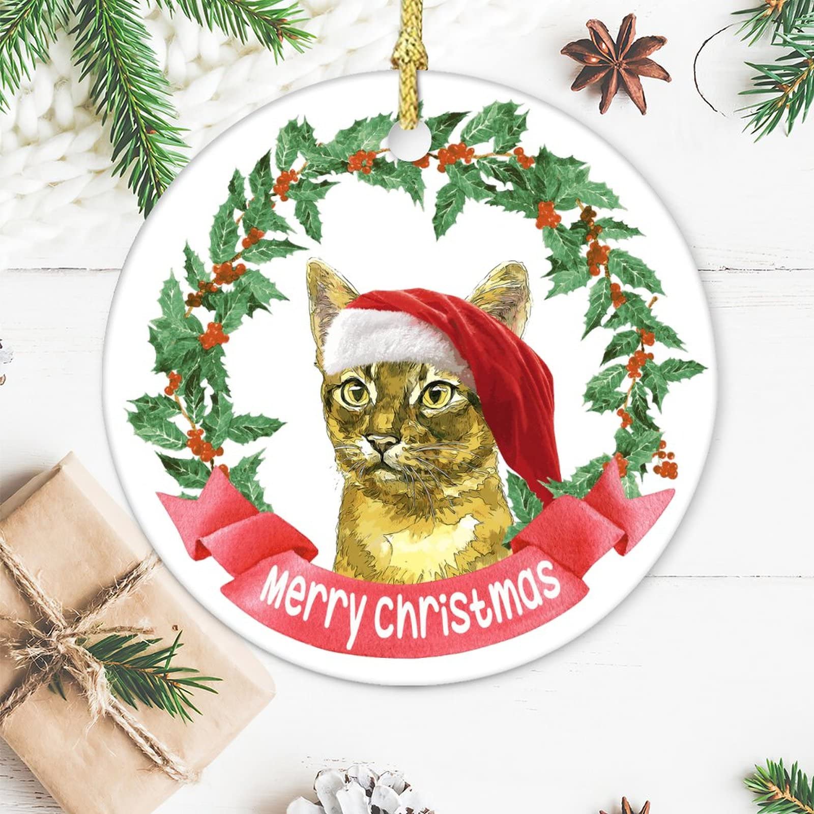 Simpatico Gatto Di Natale Video E Filmati Stock Di Gatto Domestico