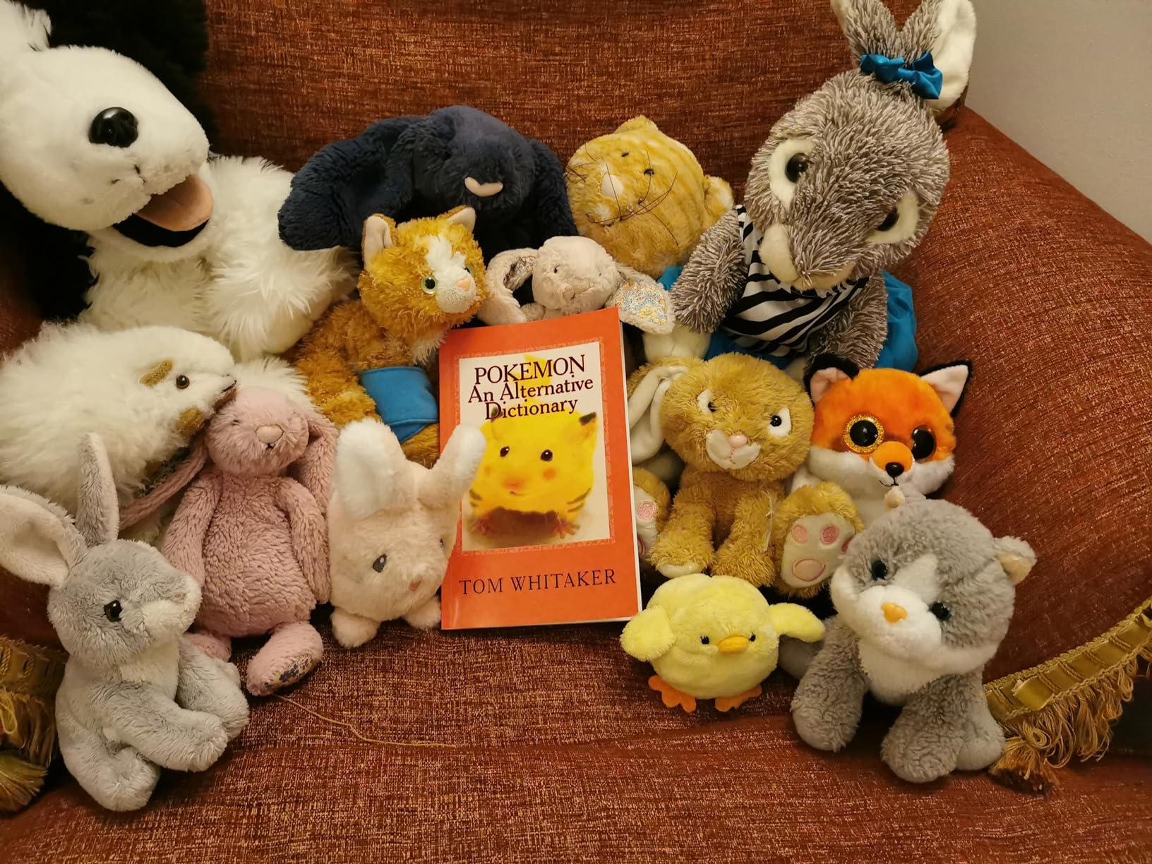 Pokemon: An Alternative Dictionary: A Funny, Offbeat Take on Pokemon ...