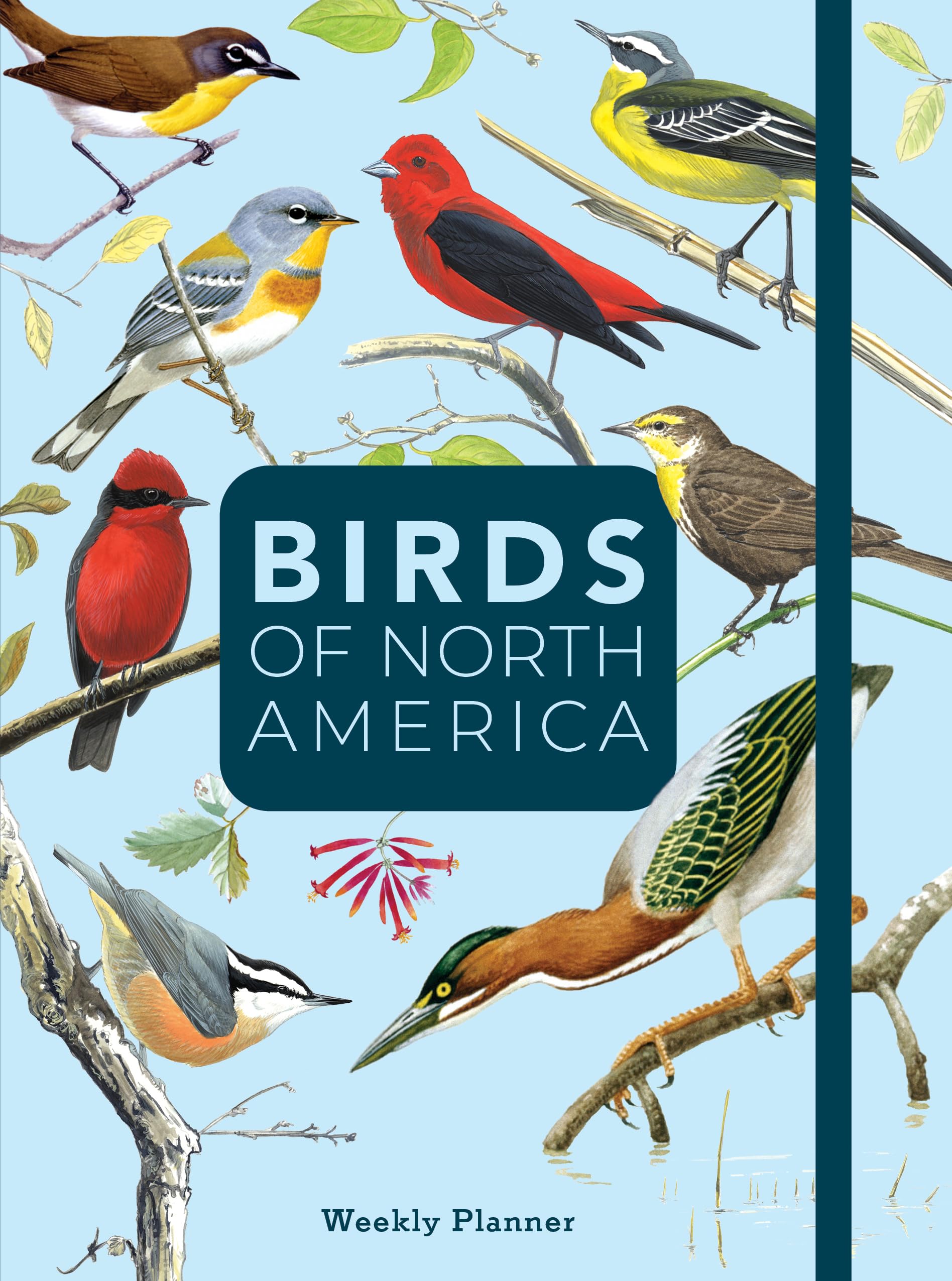 Birds of North America: Undated Weekly and Monthly Planner: Editors of ...