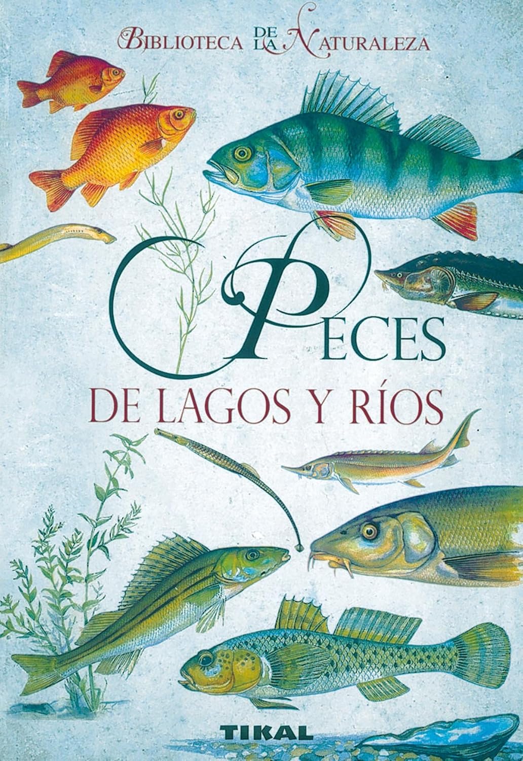 Peces de lagos y ríos (Biblioteca de la Naturaleza/ Nature Library ...