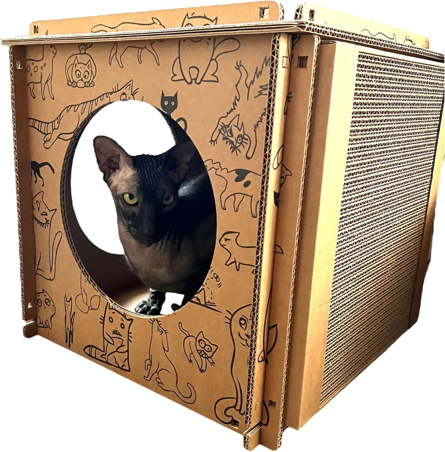 Amazon.com: Modular Cat House with Scratch Panel and Catnip Punch - Eco ...