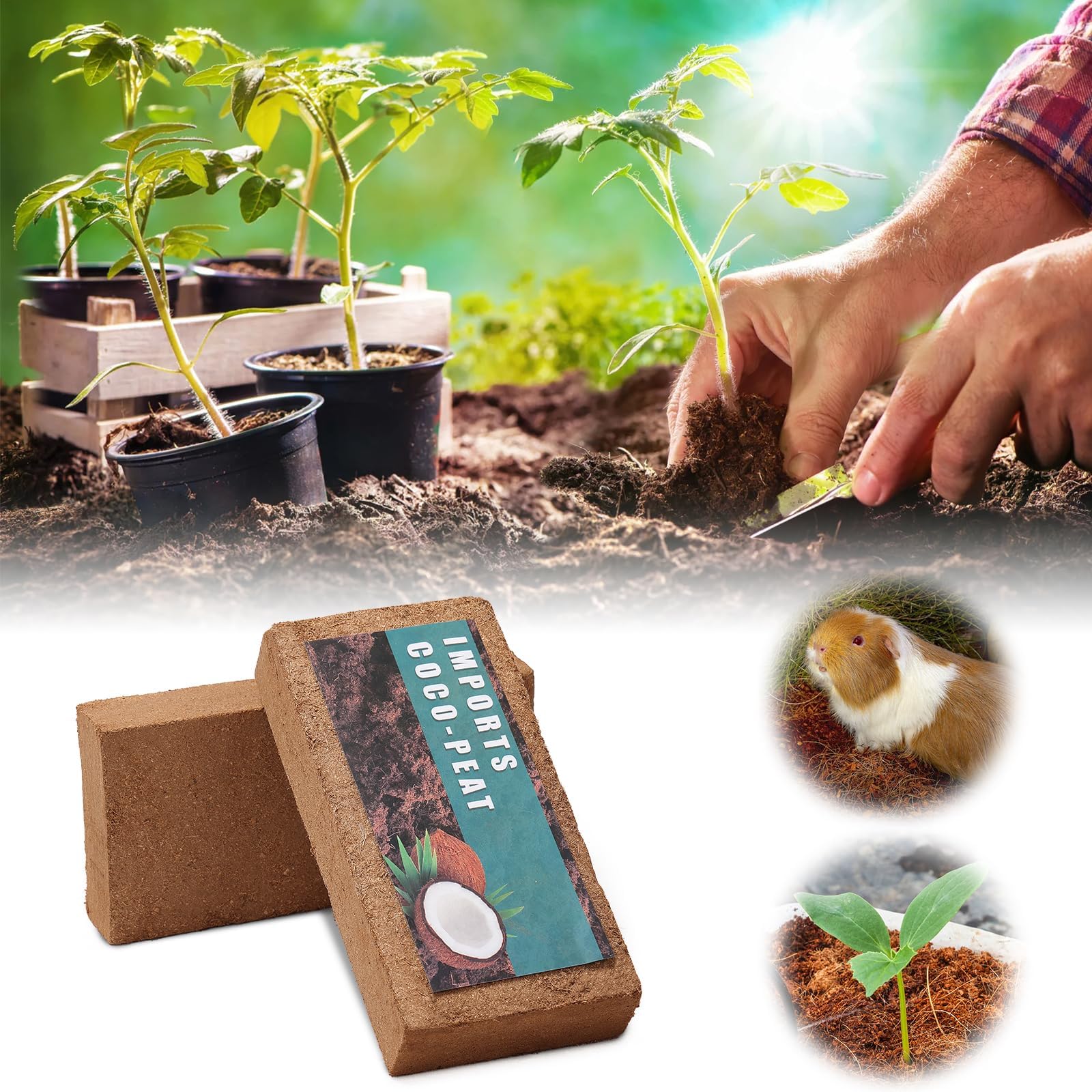 Amazon.com : Coco Coir Bricks - Pack of 5, 1.4LBS Each (Total 7LBS ...