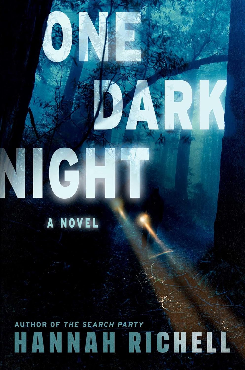 Amazon.com: One Dark Night: A Novel: 9781668081334: Richell, Hannah: Books