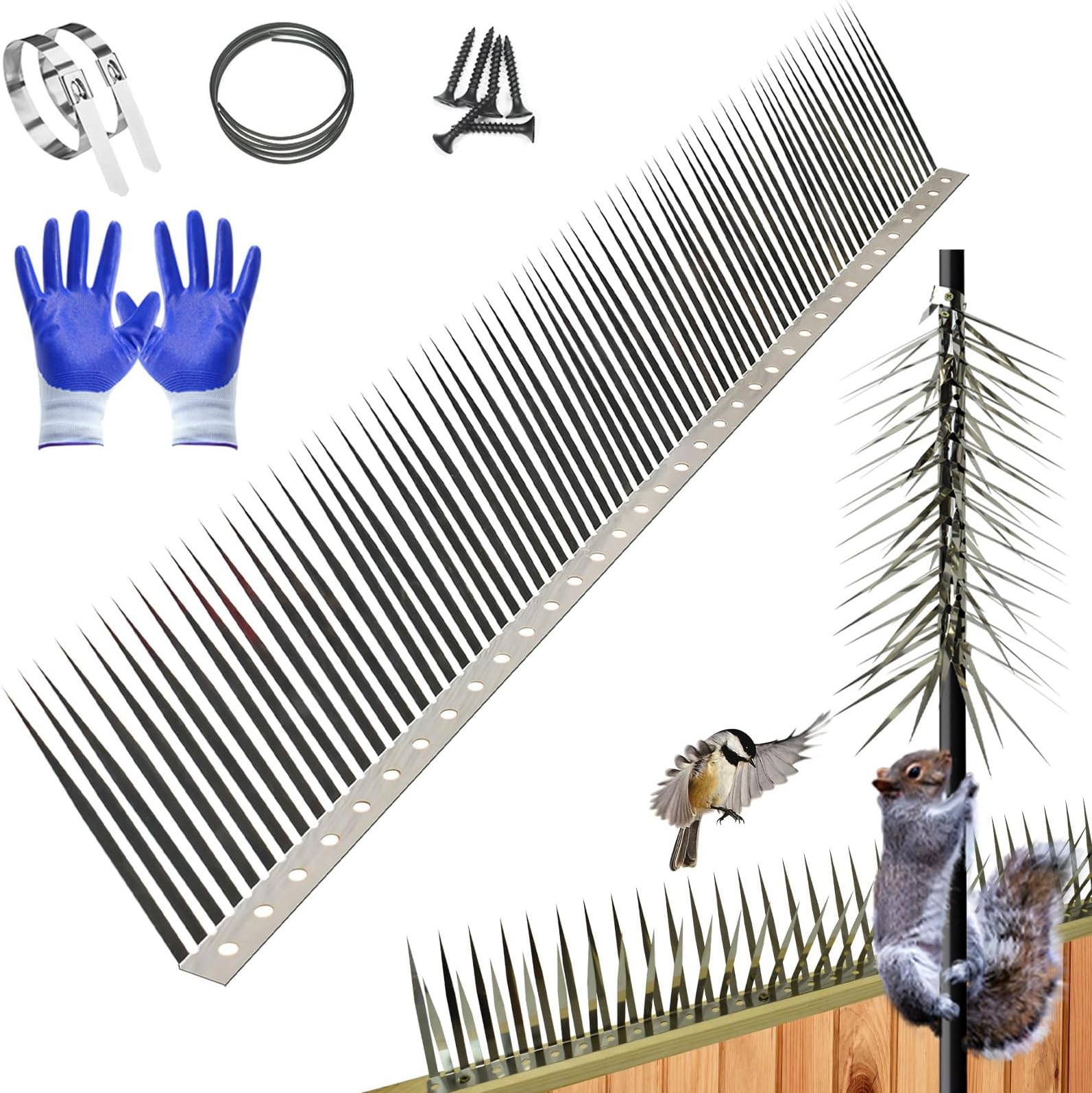 Amazon.com : Tensland Pole-Mount Squirrel Raccoon Guard Spikes That ...