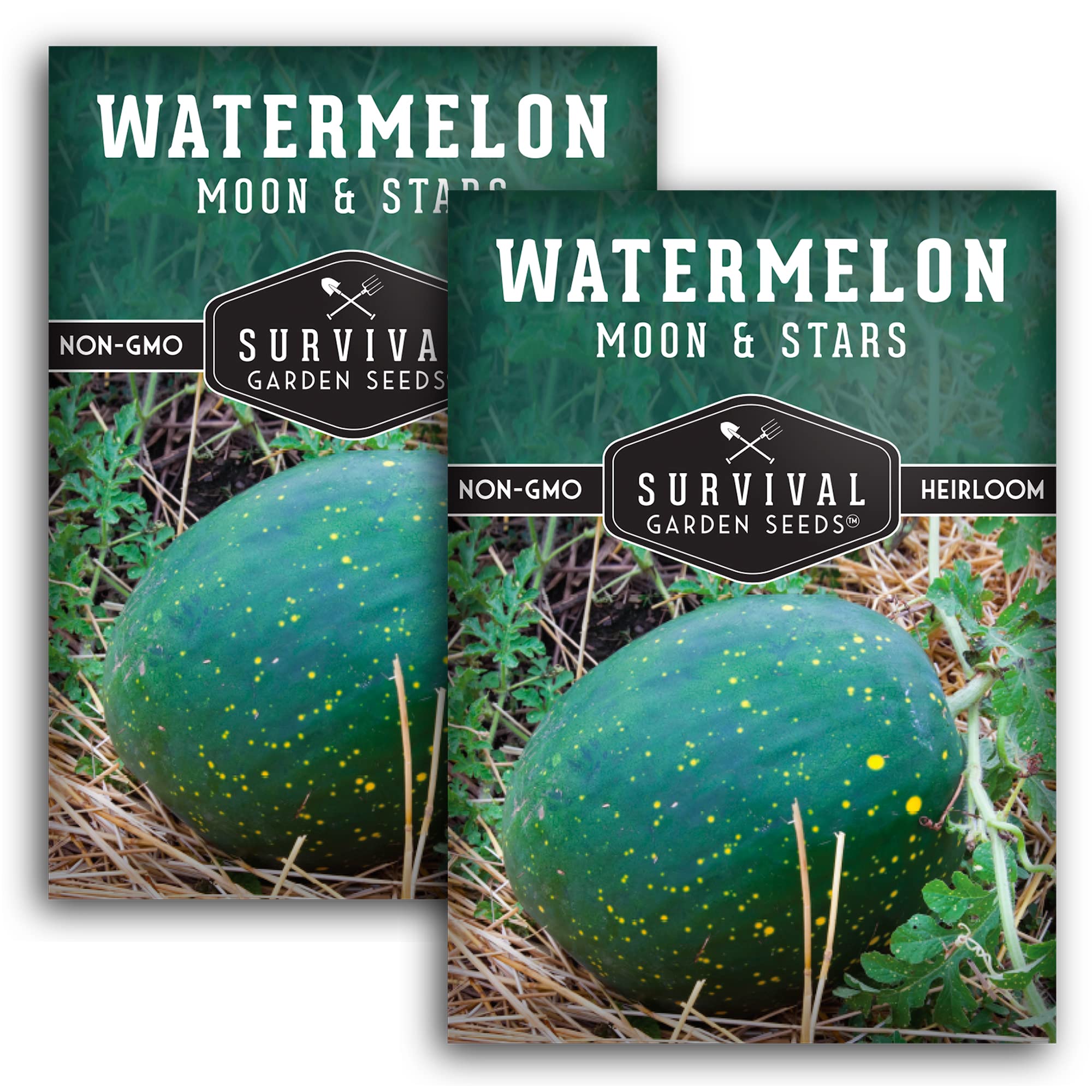 Watermelon Seed Clip Art Packs Amazon.com : Thumb Watermelon Seed Pack